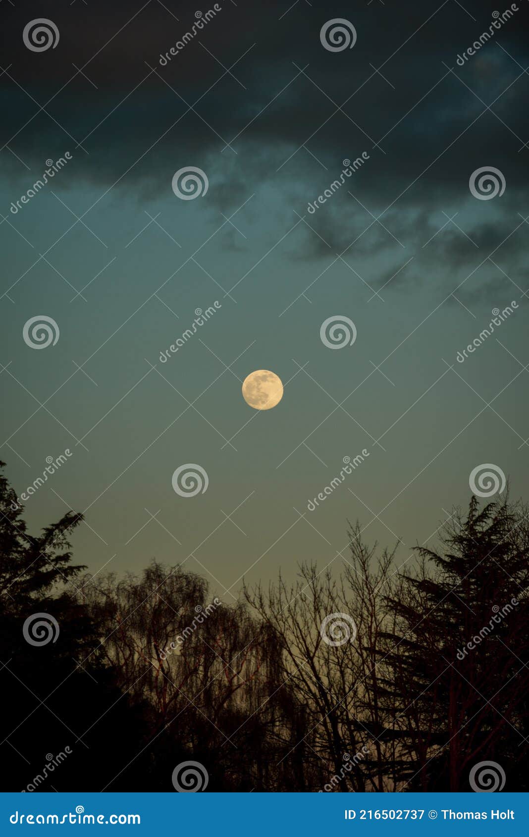 Full Moon in Horizon of Dramatic Night Sky Stock Image - Image of copy ...