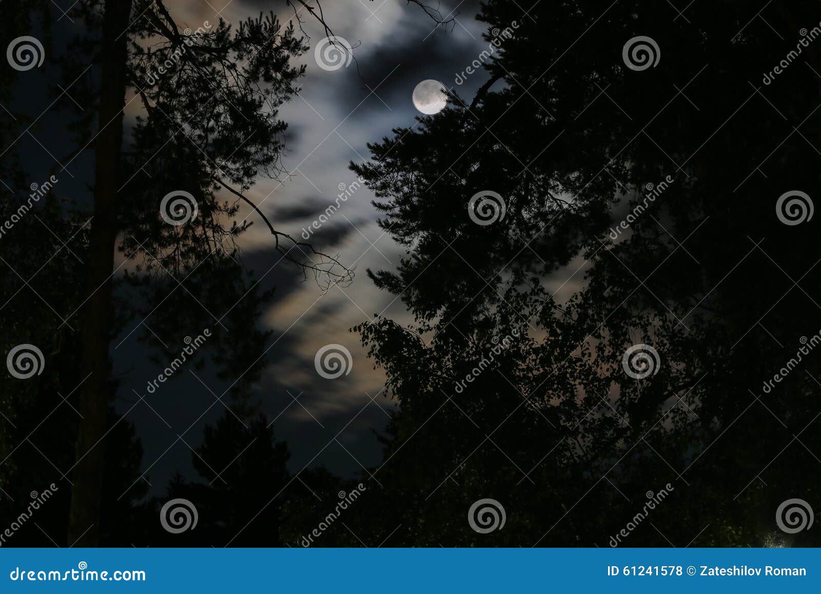 Full moon stock photo. Image of clear, tranquil, travel - 61241578