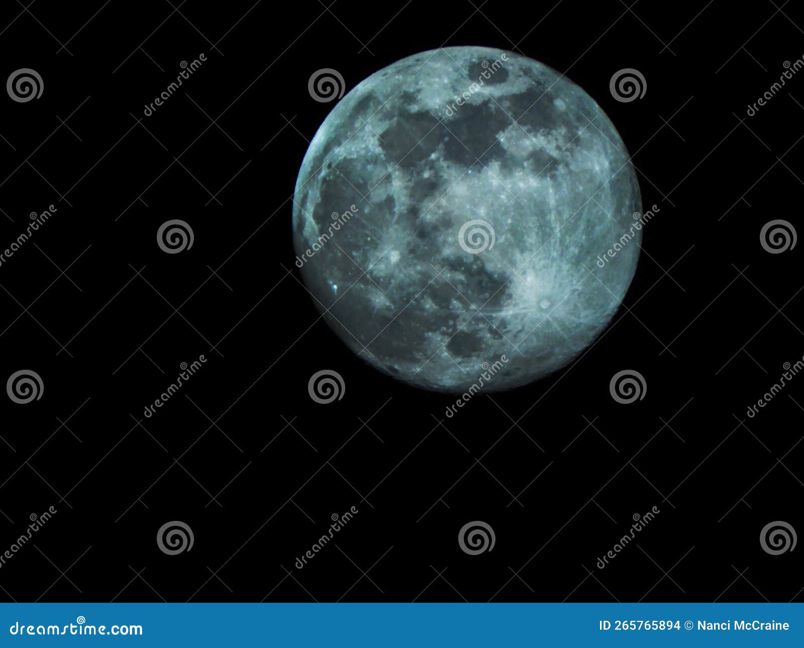 January Wolf Full Moon in Eerie Shade of Blue Stock Photo - Image of ...