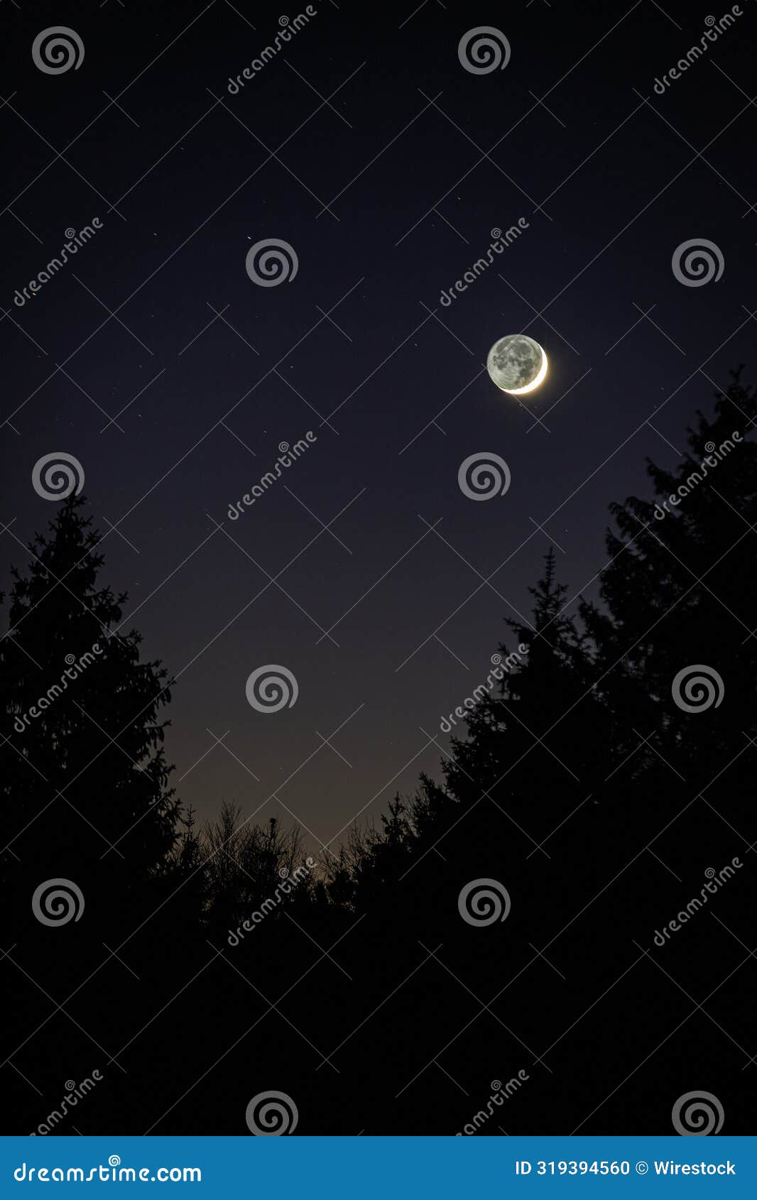 Full Moon Illuminating Night Sky Over Trees. Stock Photo - Image of ...