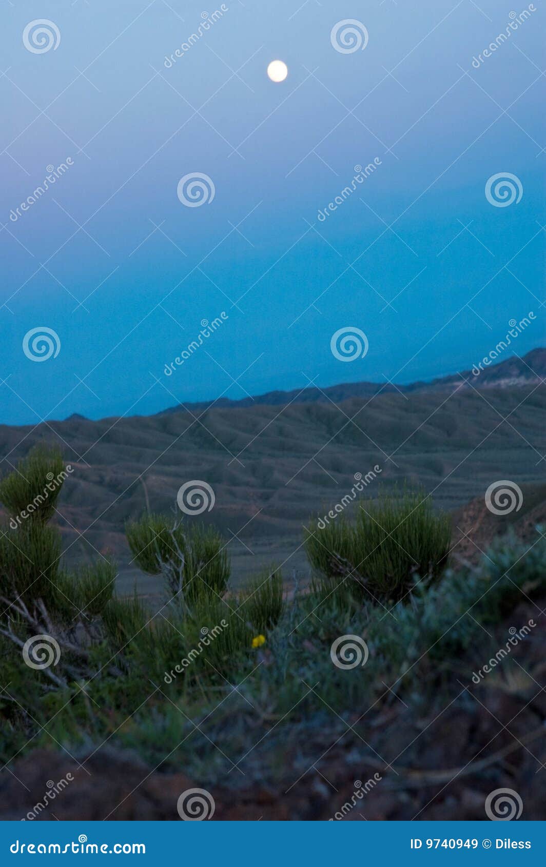 Full moon landscape stock image. Image of idyllic, blue - 9740949