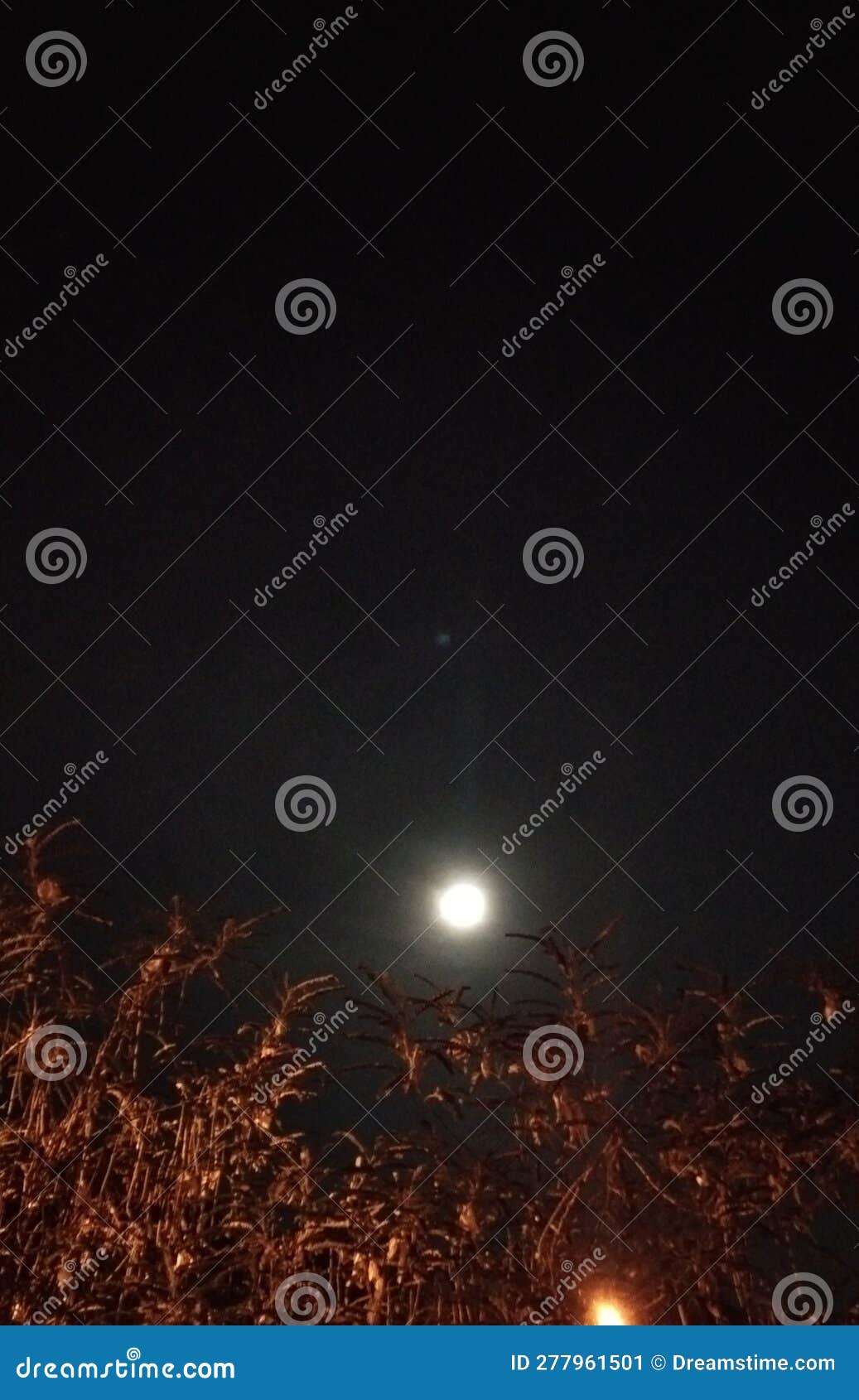 Full moon light stock image. Image of black, aesthetic - 277961501