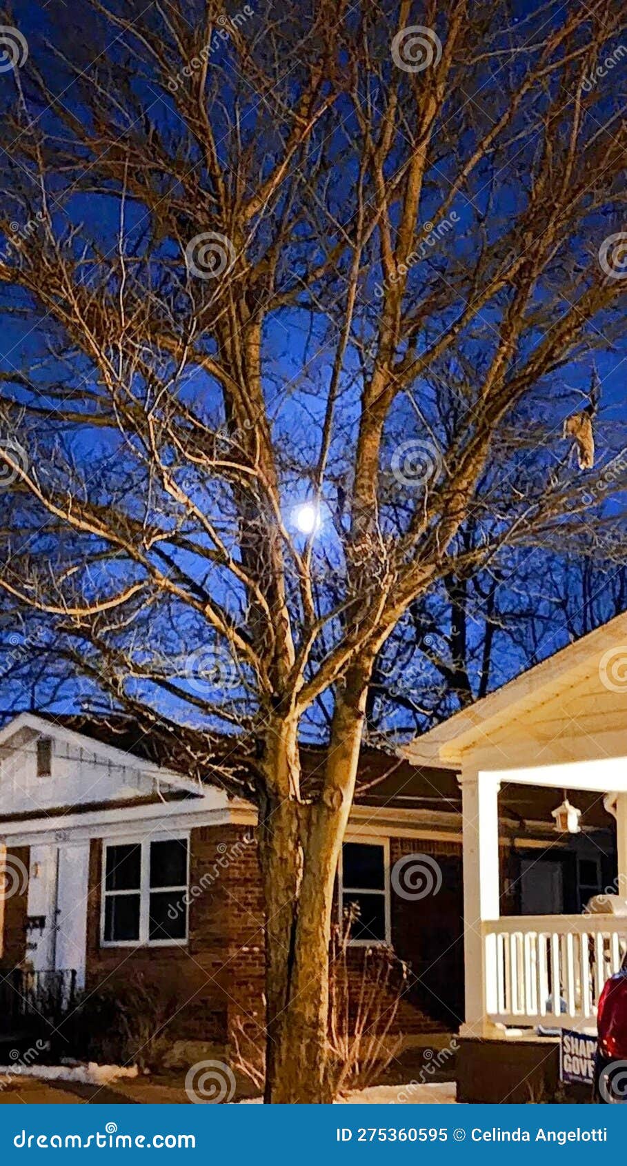 Full Moon Lights Up the Night Sky Stock Image - Image of moon, full ...
