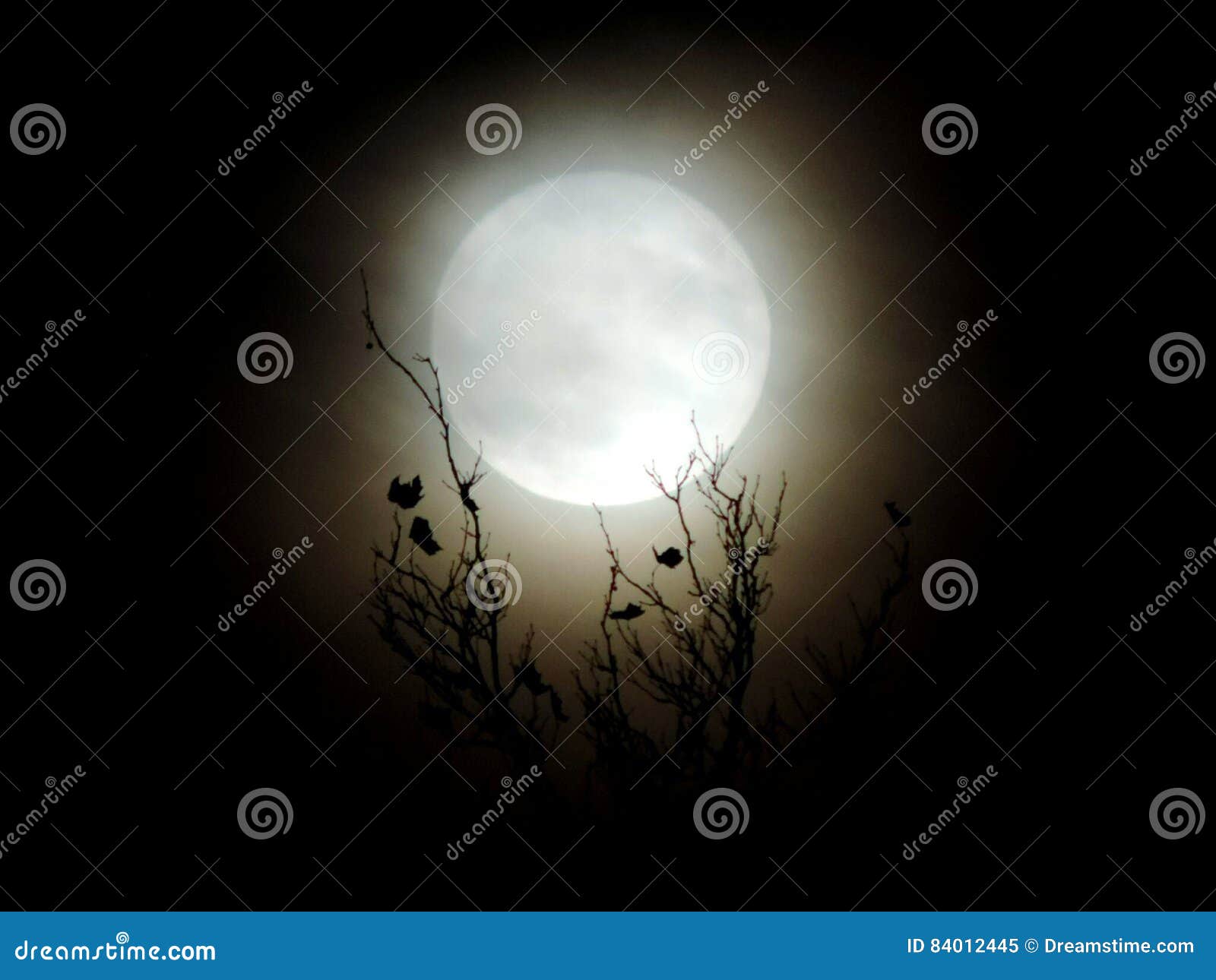 Full moon of Liverpool stock image. Image of crown, full - 84012445