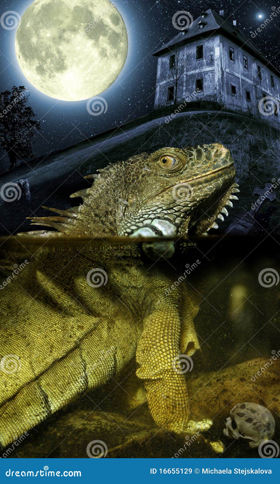 Full moon and lizard stock illustration. Illustration of dragon - 16655129