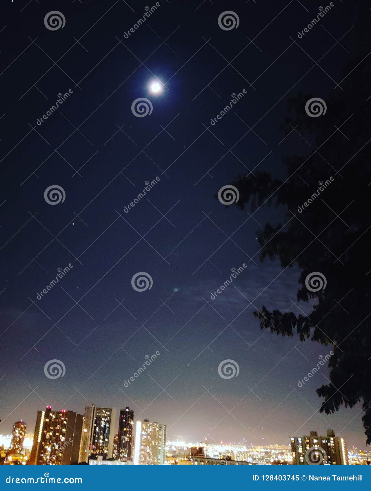 Full Moon Magic Vol . 4.1 stock image. Image of skyline - 128403745