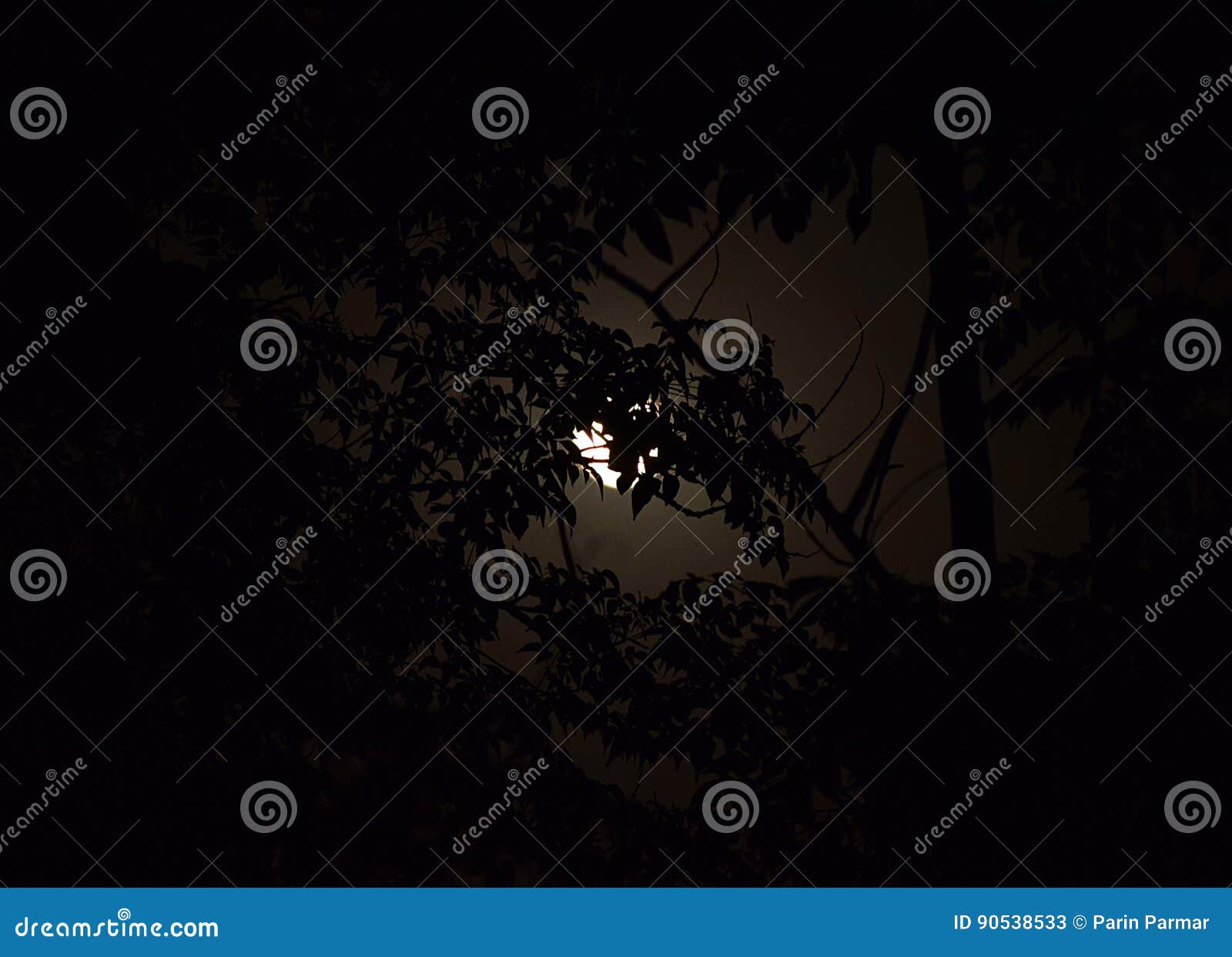Full Moon with Moonlight Behind Tree Stock Image - Image of darkness ...