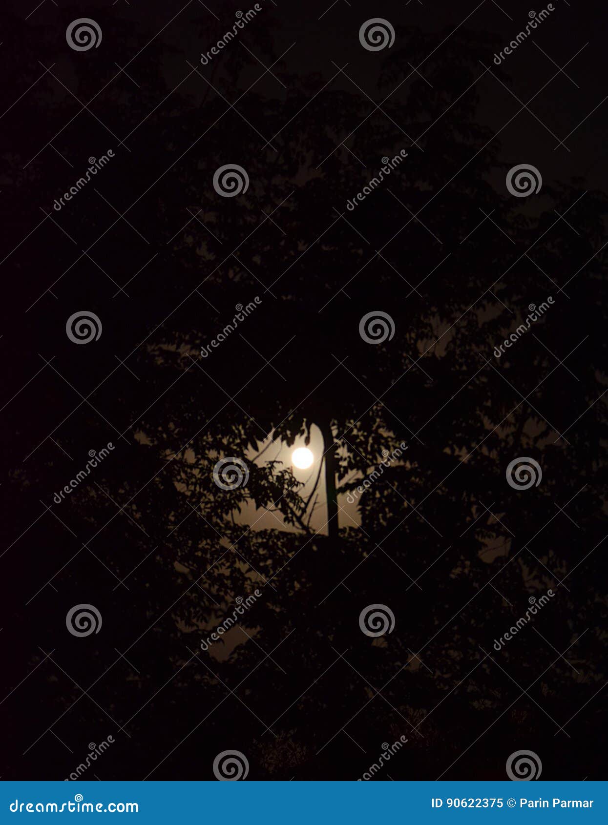 Full Moon with Moonlight Behind Tree Stock Image - Image of silver ...