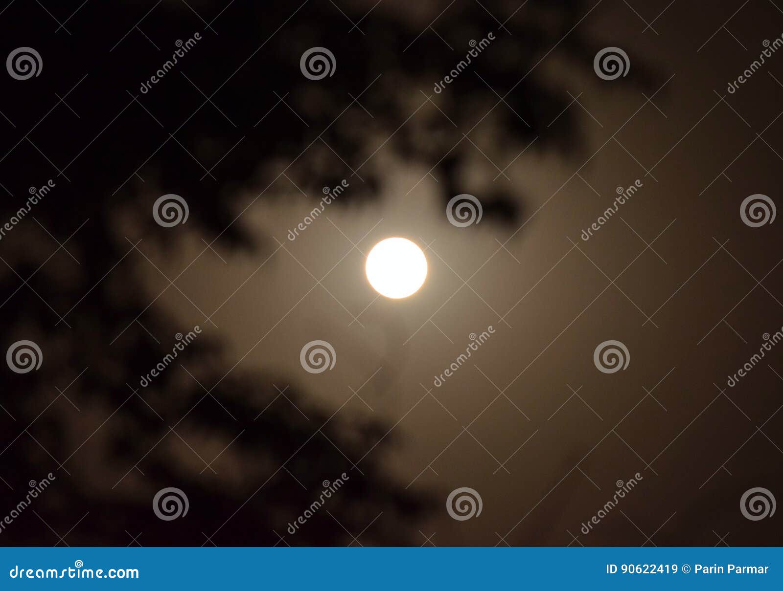 Full Moon with Moonlight Behind Tree Stock Image - Image of contours ...