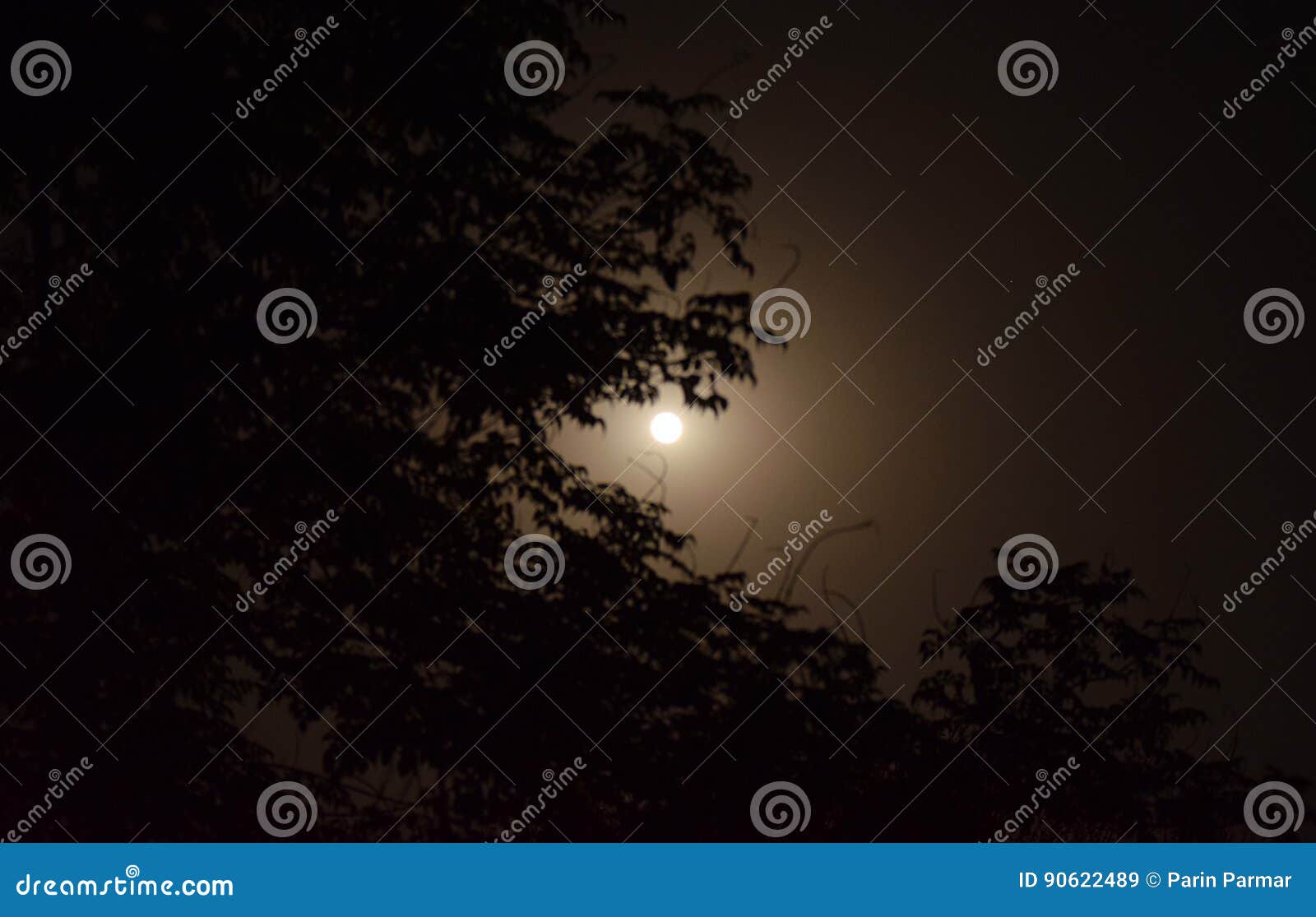 Full Moon with Moonlight Behind Tree Stock Image - Image of nocturnal ...