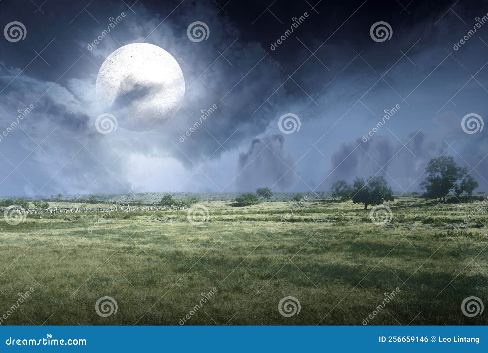 The full moon stock photo. Image of scene, landscape - 256659146