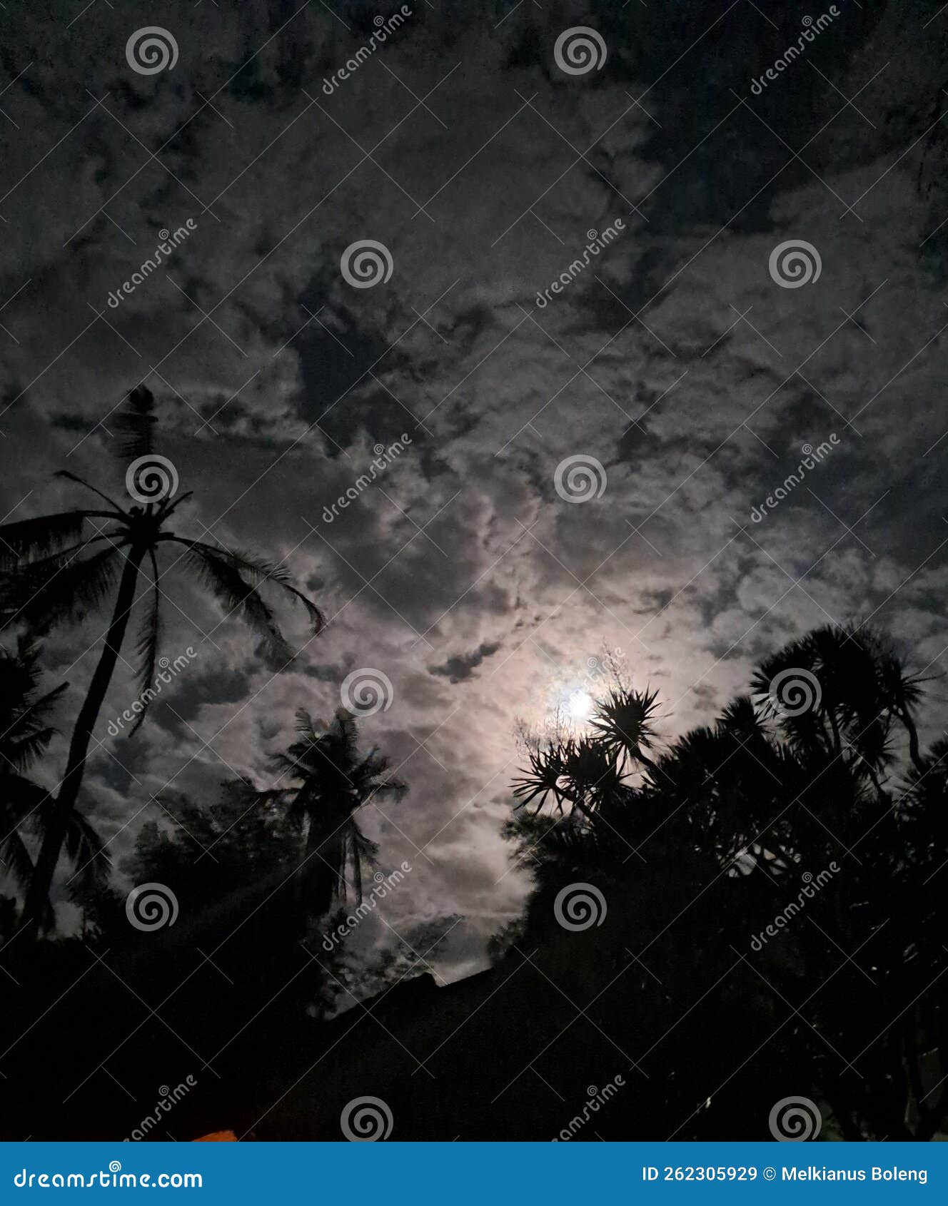Full Moon Night Cloud Shadow Stock Image - Image of night, cloud: 262305929