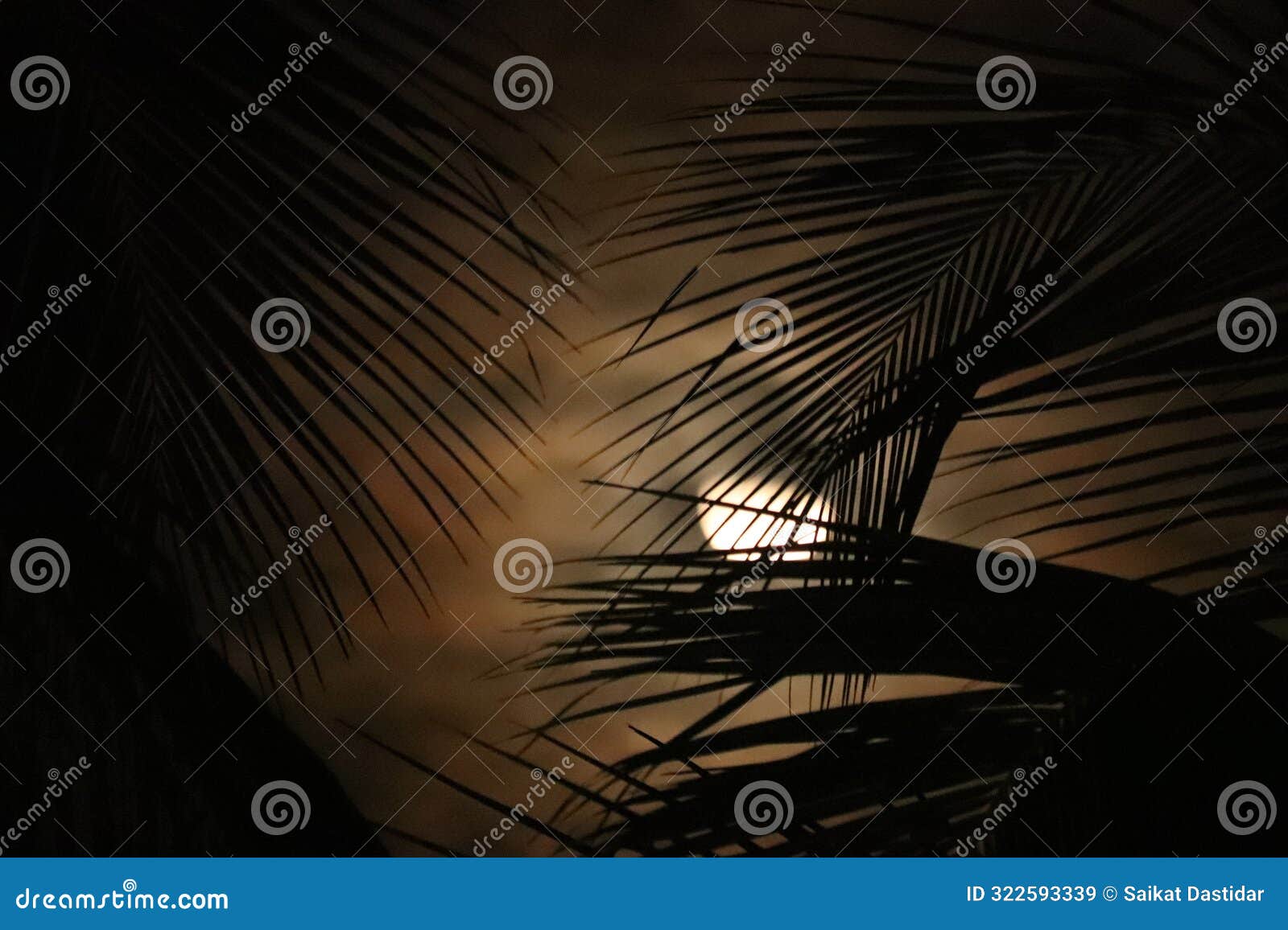 The full moon night in Goa stock image. Image of travel - 322593339