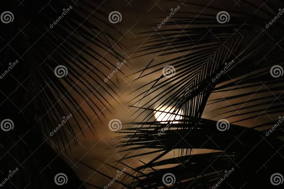 The full moon night in Goa stock image. Image of travel - 322593339