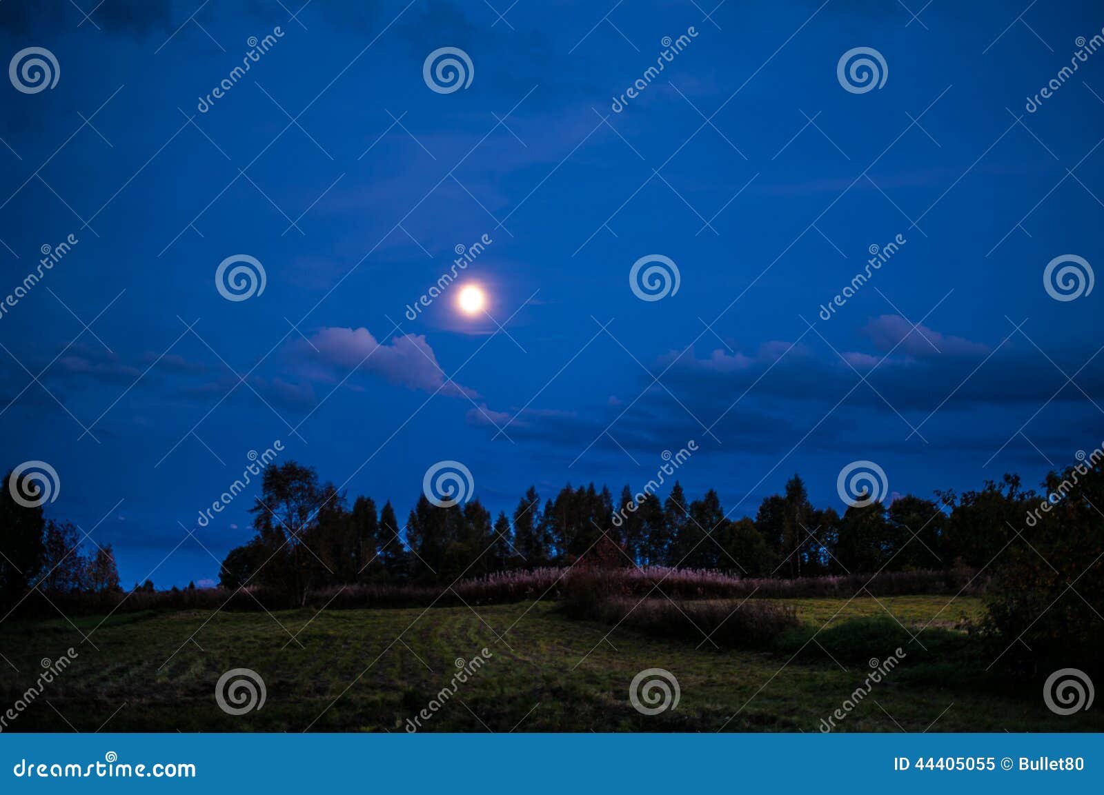 Full moon stock image. Image of bright, trees, season - 44405055