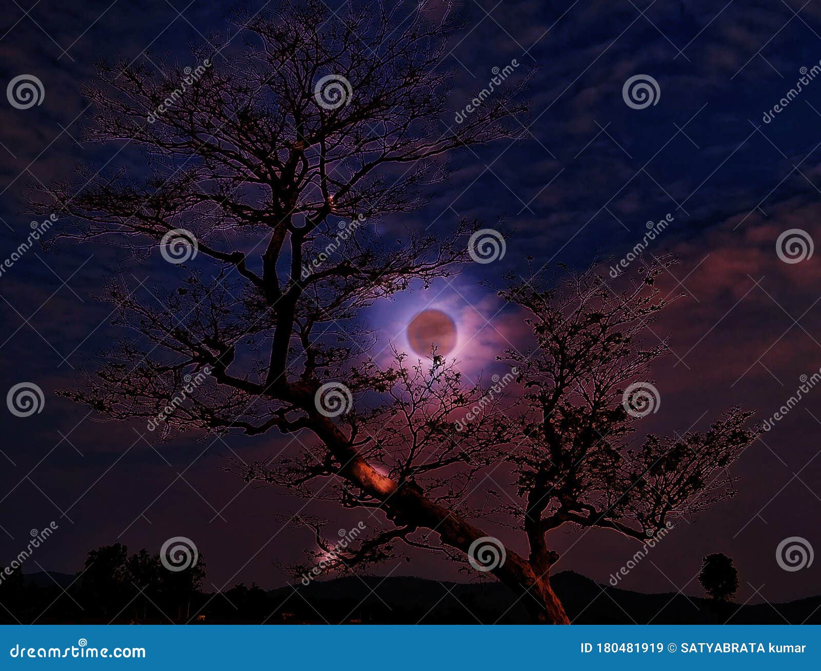 Full moon night mood . stock image. Image of moon, full - 180481919