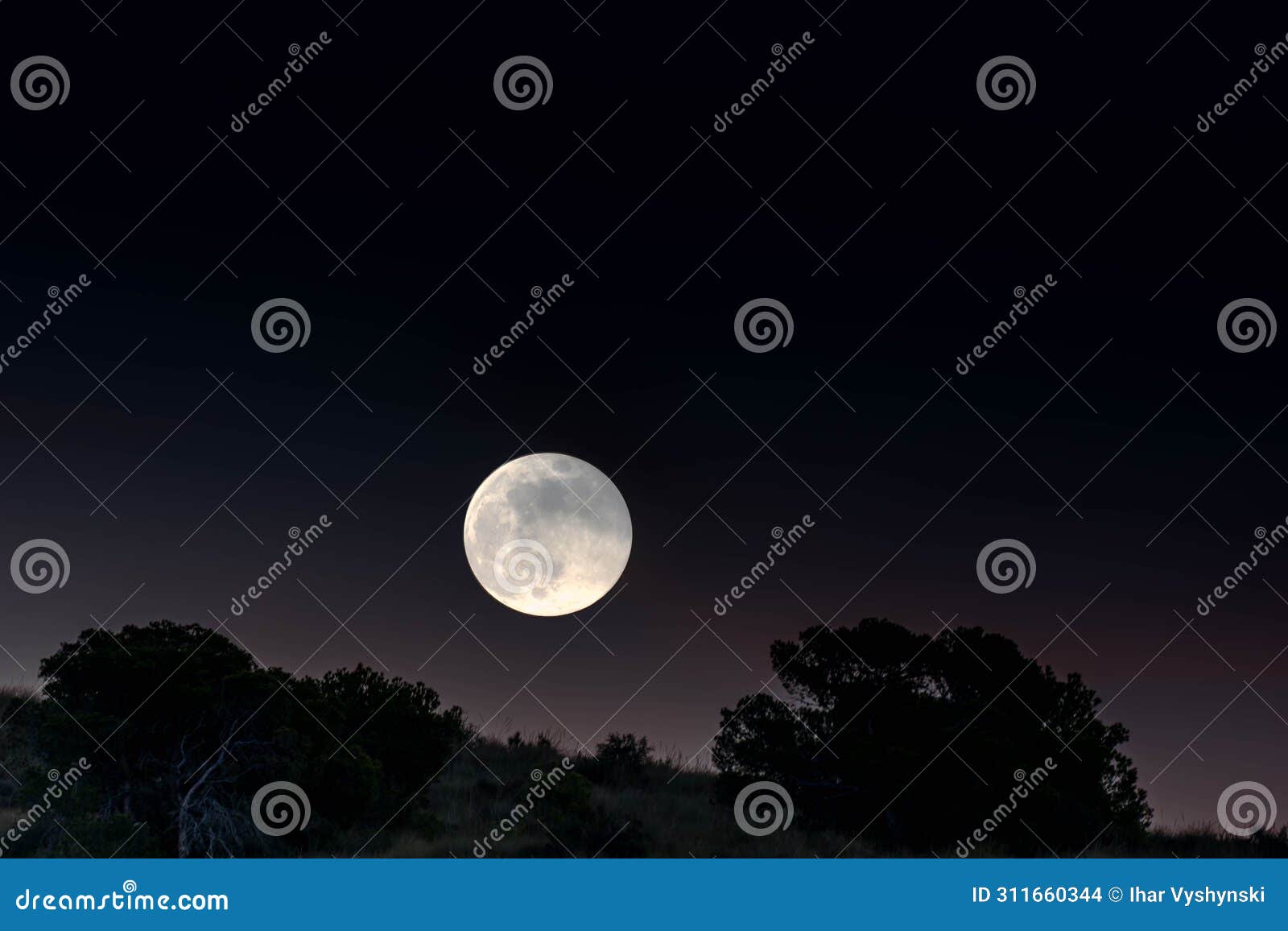 Full Moon Night Nature Landscape with Forest Stock Photo - Image of ...