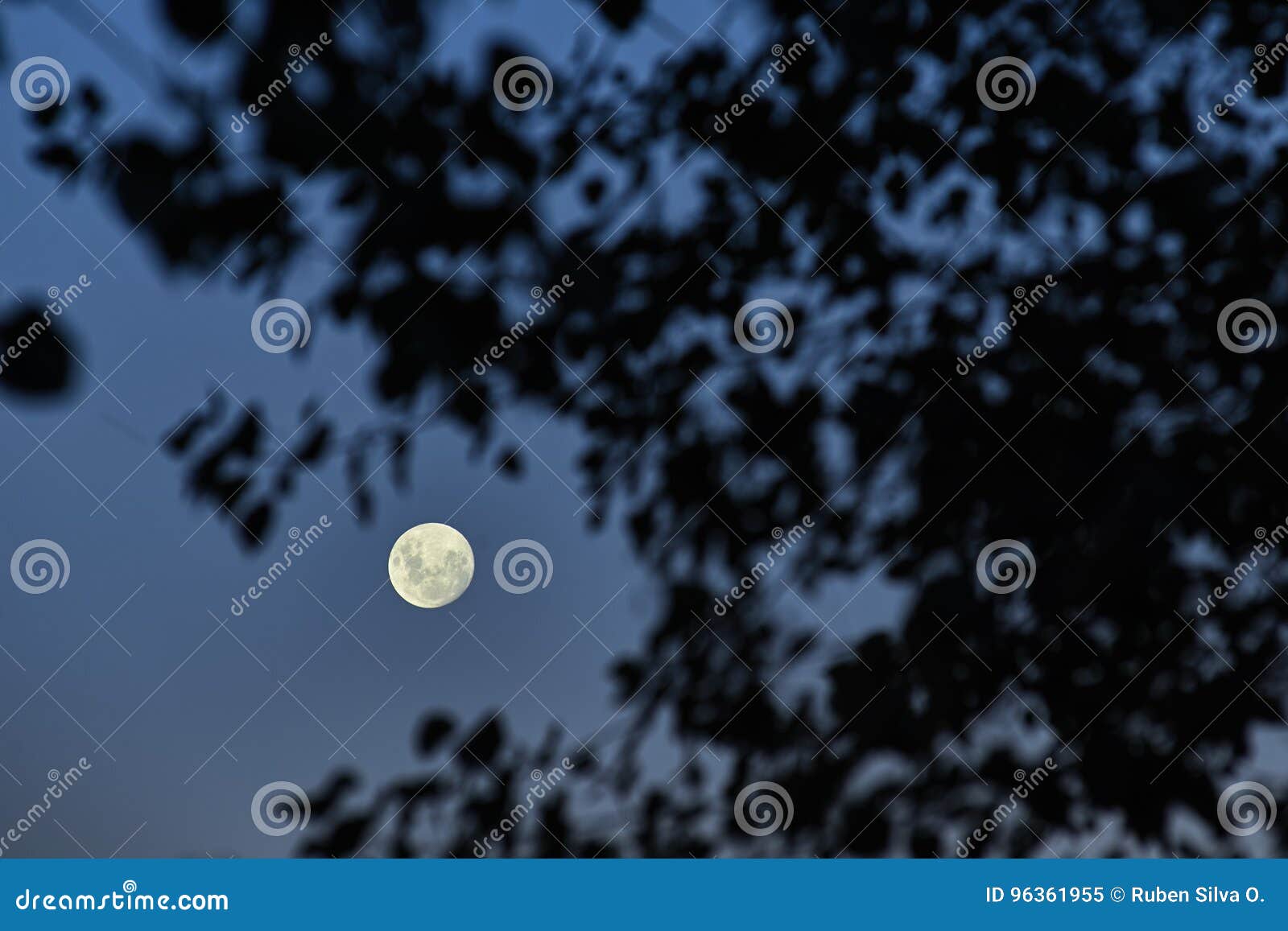 A Full Moon Night, Nightscape Stock Image - Image of frame, blue: 96361955