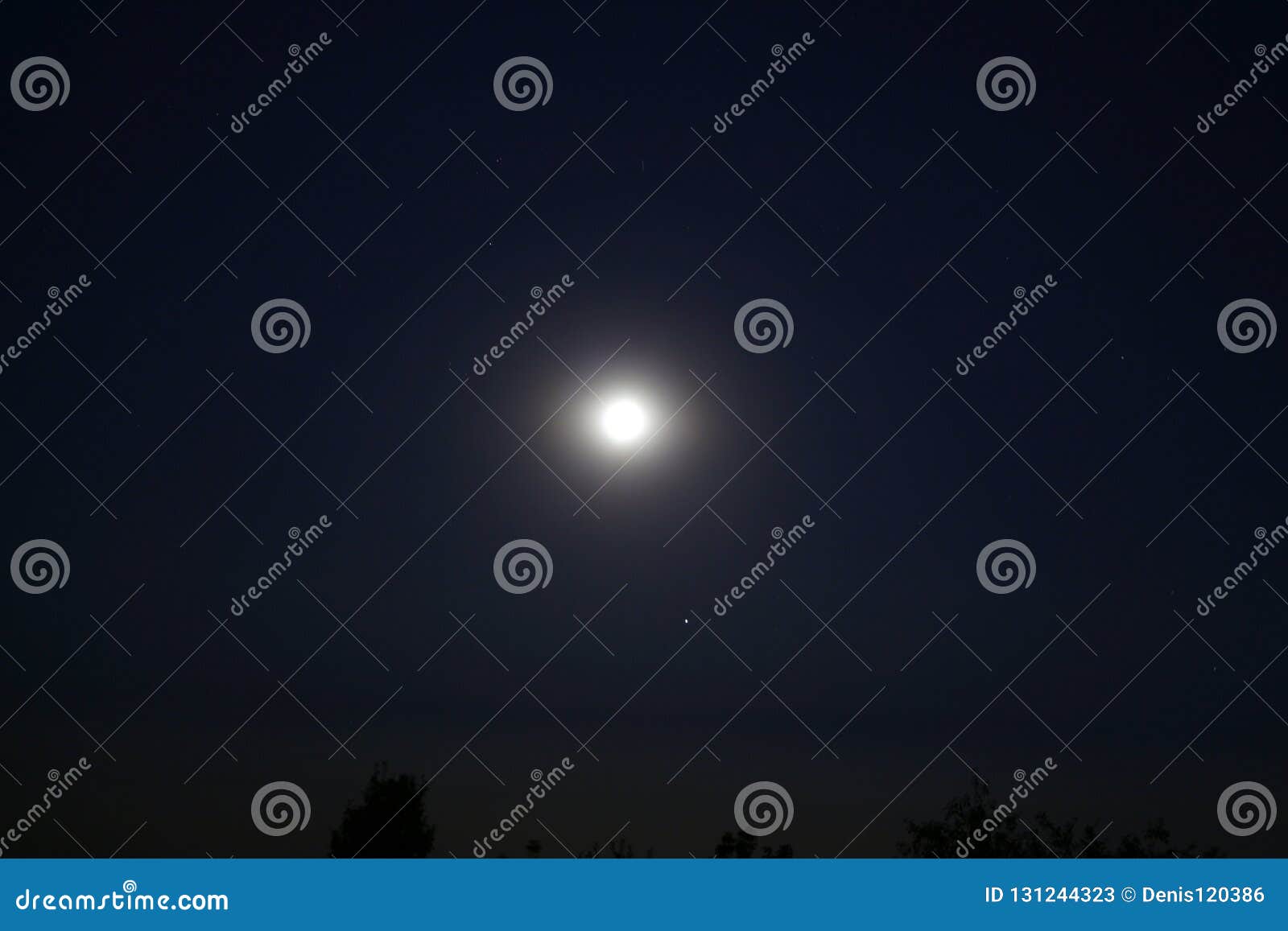 Bright moon stock image. Image of full, night, sunflowers - 131244323