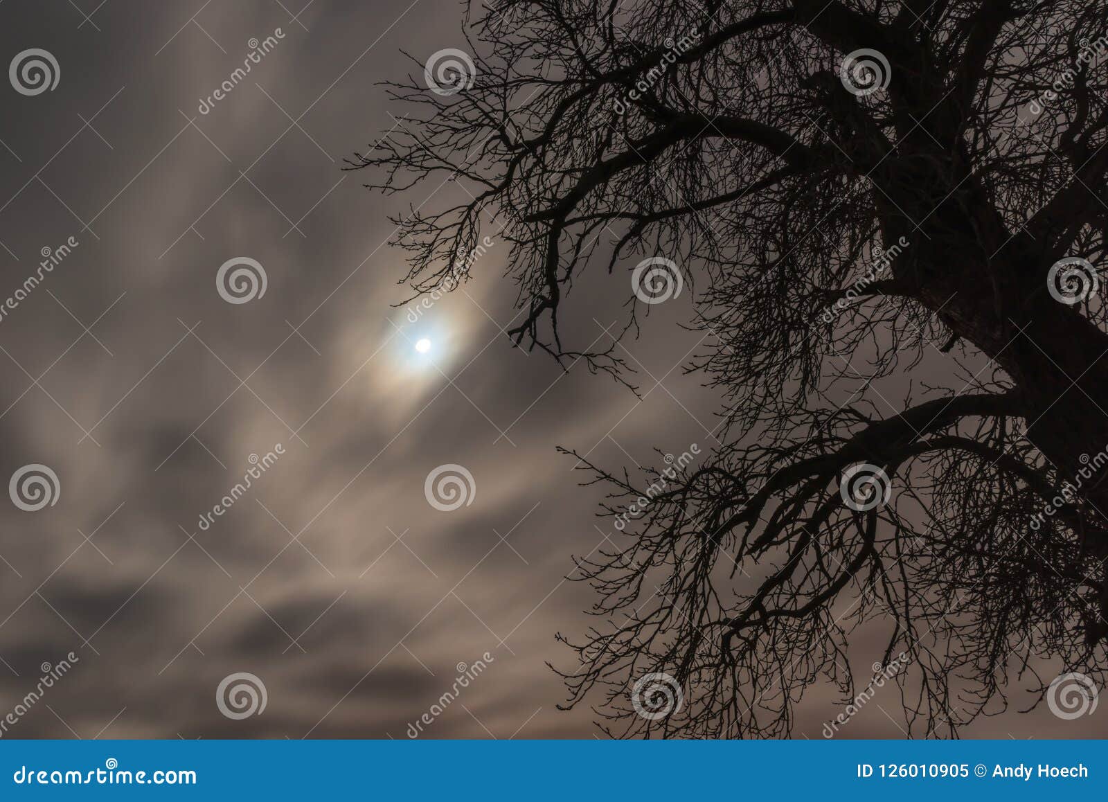The Full Moon and the Old Tree at Midnight Stock Image - Image of night ...