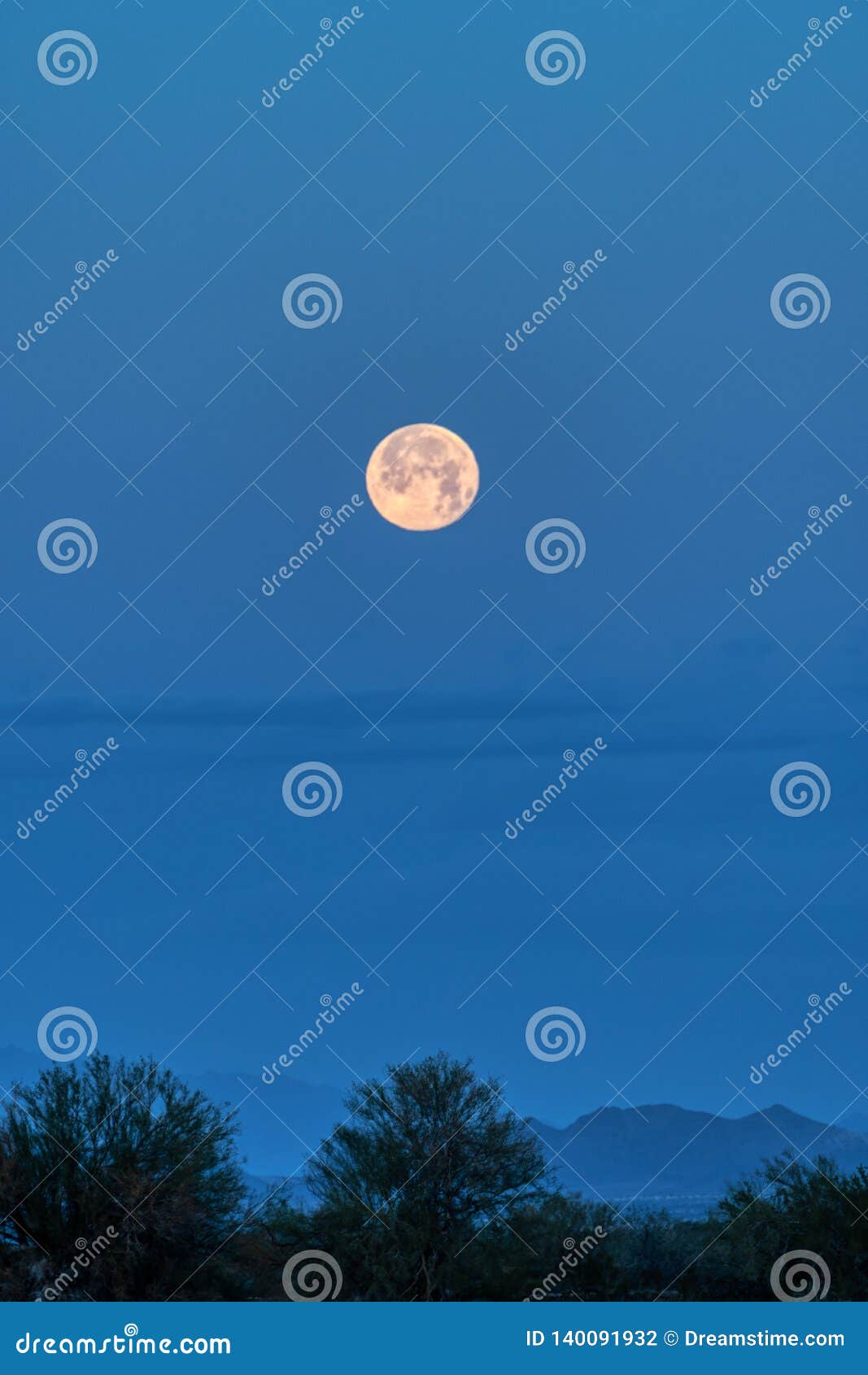 Full Moon Over Arizona Mountains and Trees Stock Photo - Image of ...