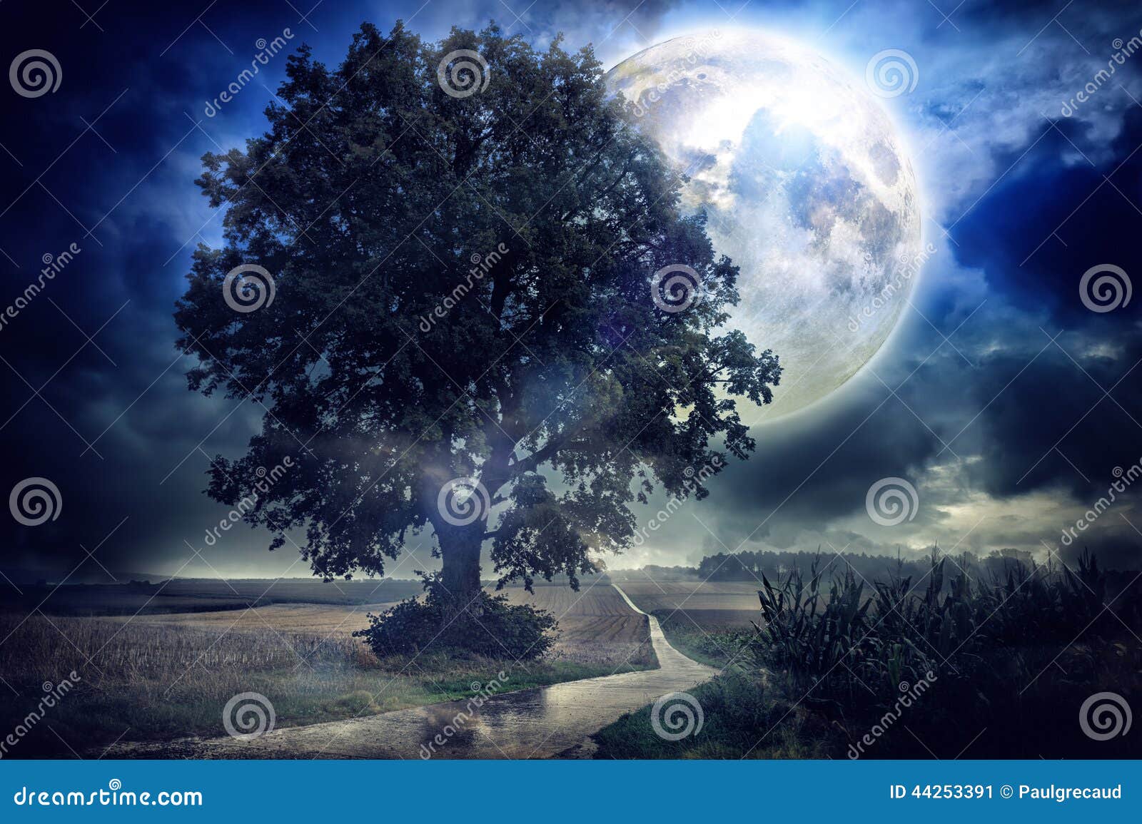 Full moon over corn field stock image. Image of blue - 44253391