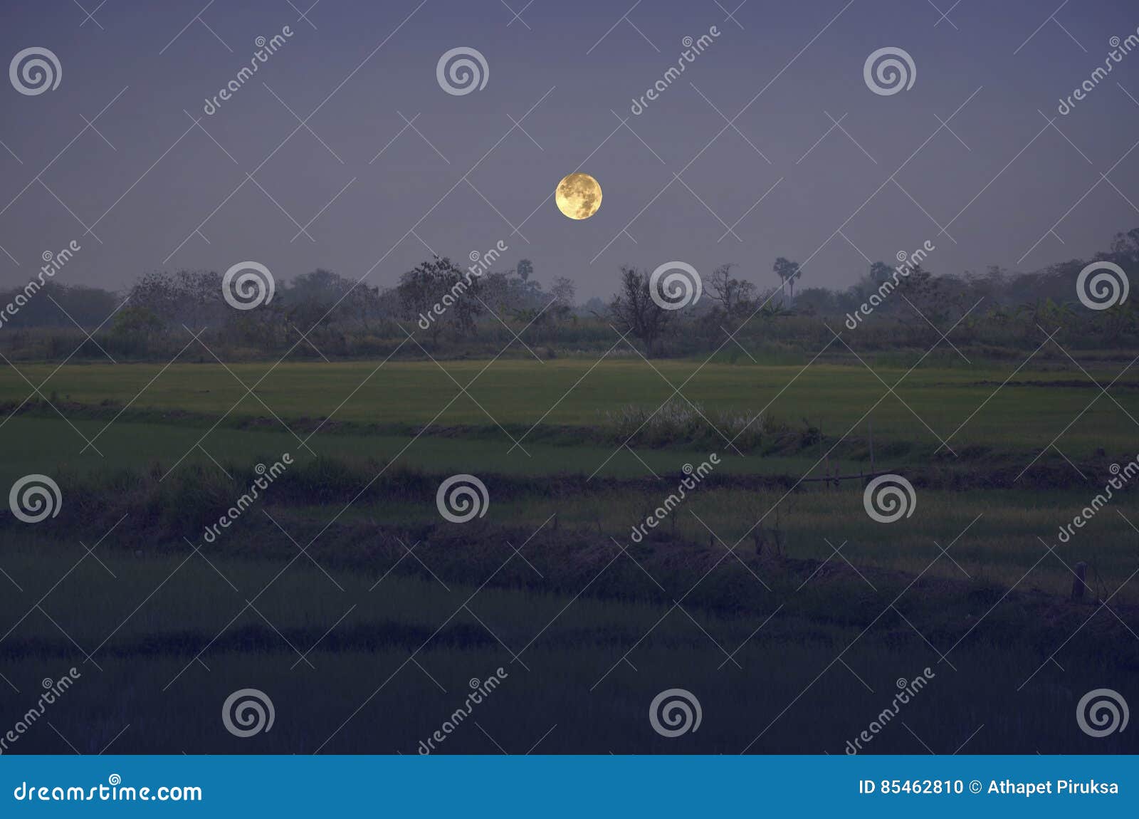 Full Moon Over the Field in the Evening Stock Photo - Image of fantasy ...
