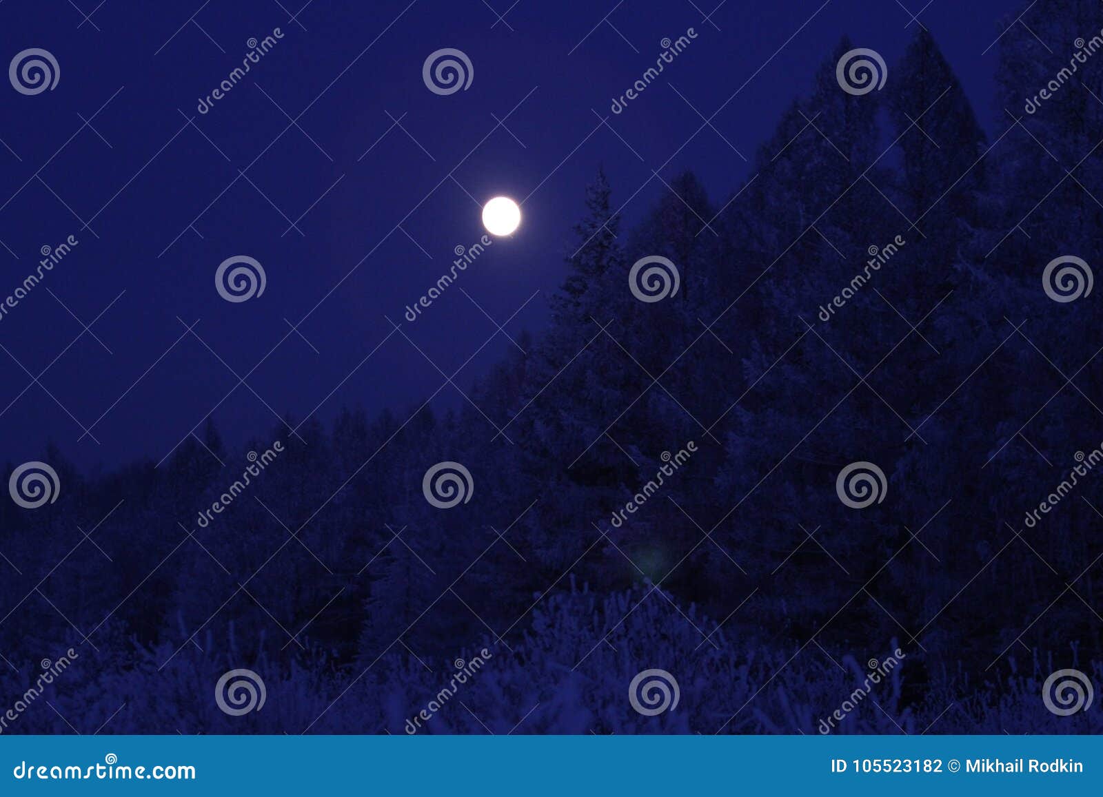 Full moon over the forest stock photo. Image of cool - 105523182