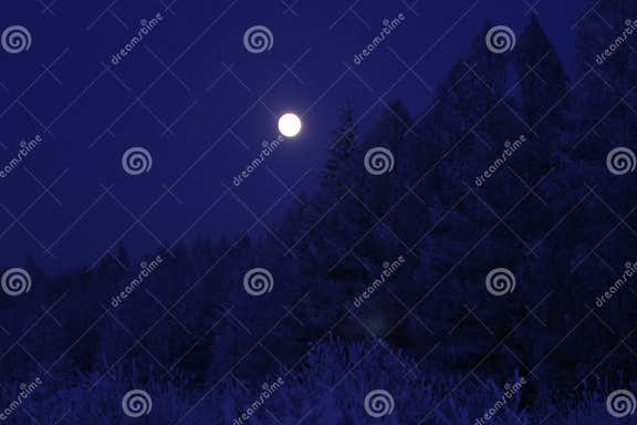 Full moon over the forest stock photo. Image of cool - 105523182
