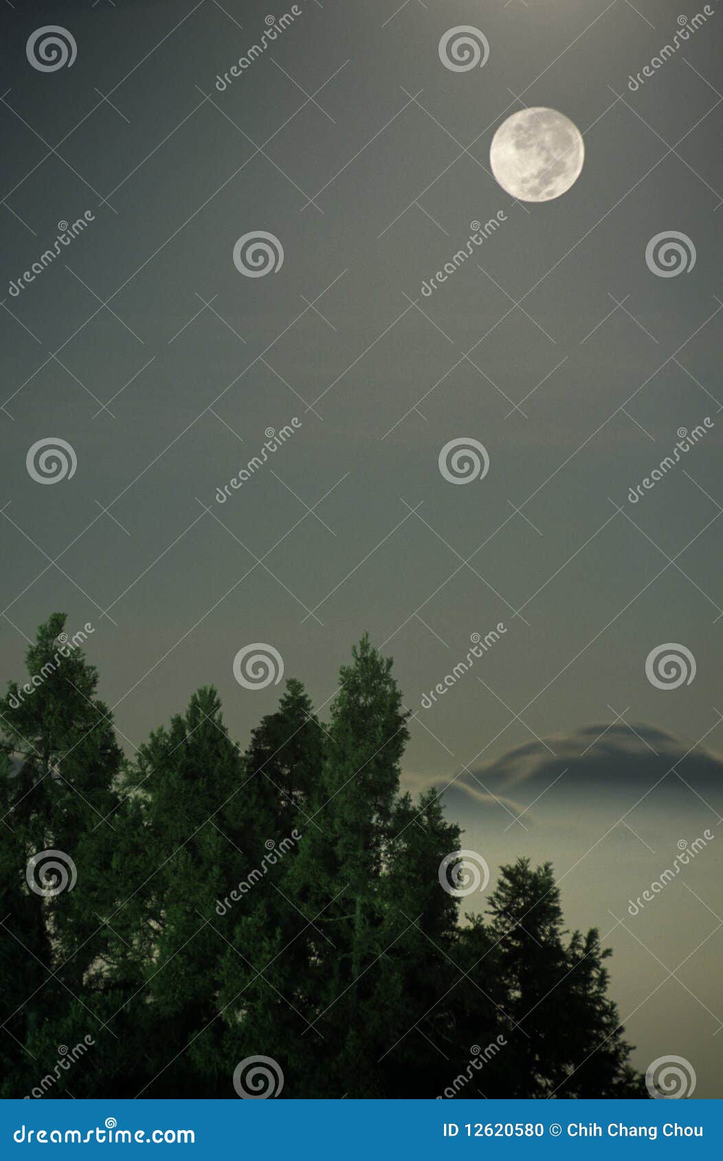 Full moon over forest stock photo. Image of forested - 12620580
