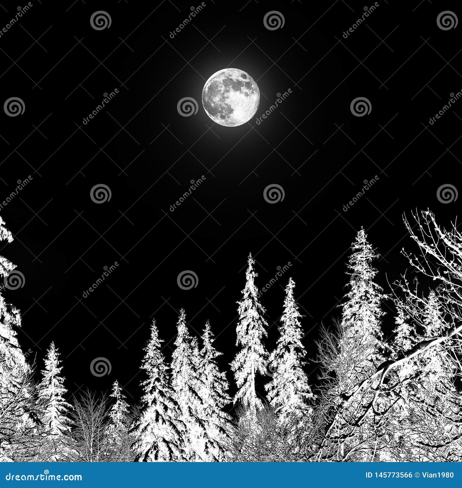 Full moon over the forest stock photo. Image of outdoor - 145773566