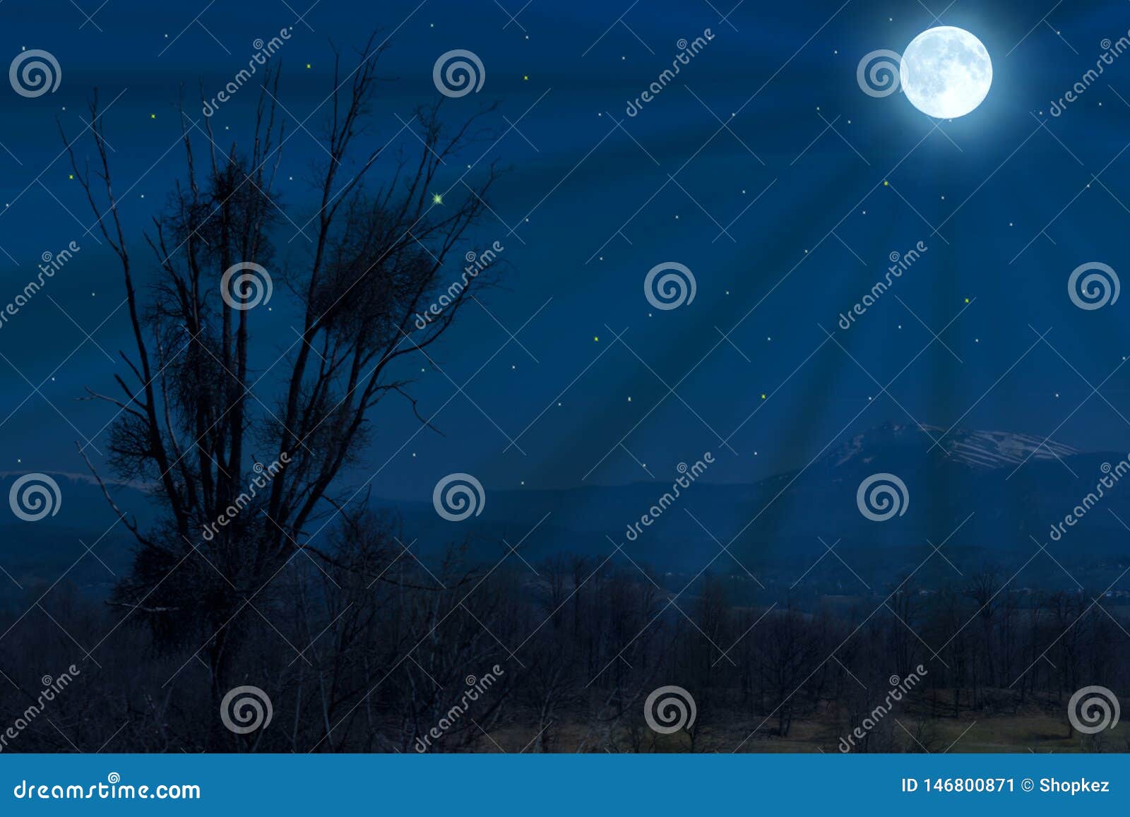 Full Moon Over the Forest and the Fields. Tree Silhouette in the ...