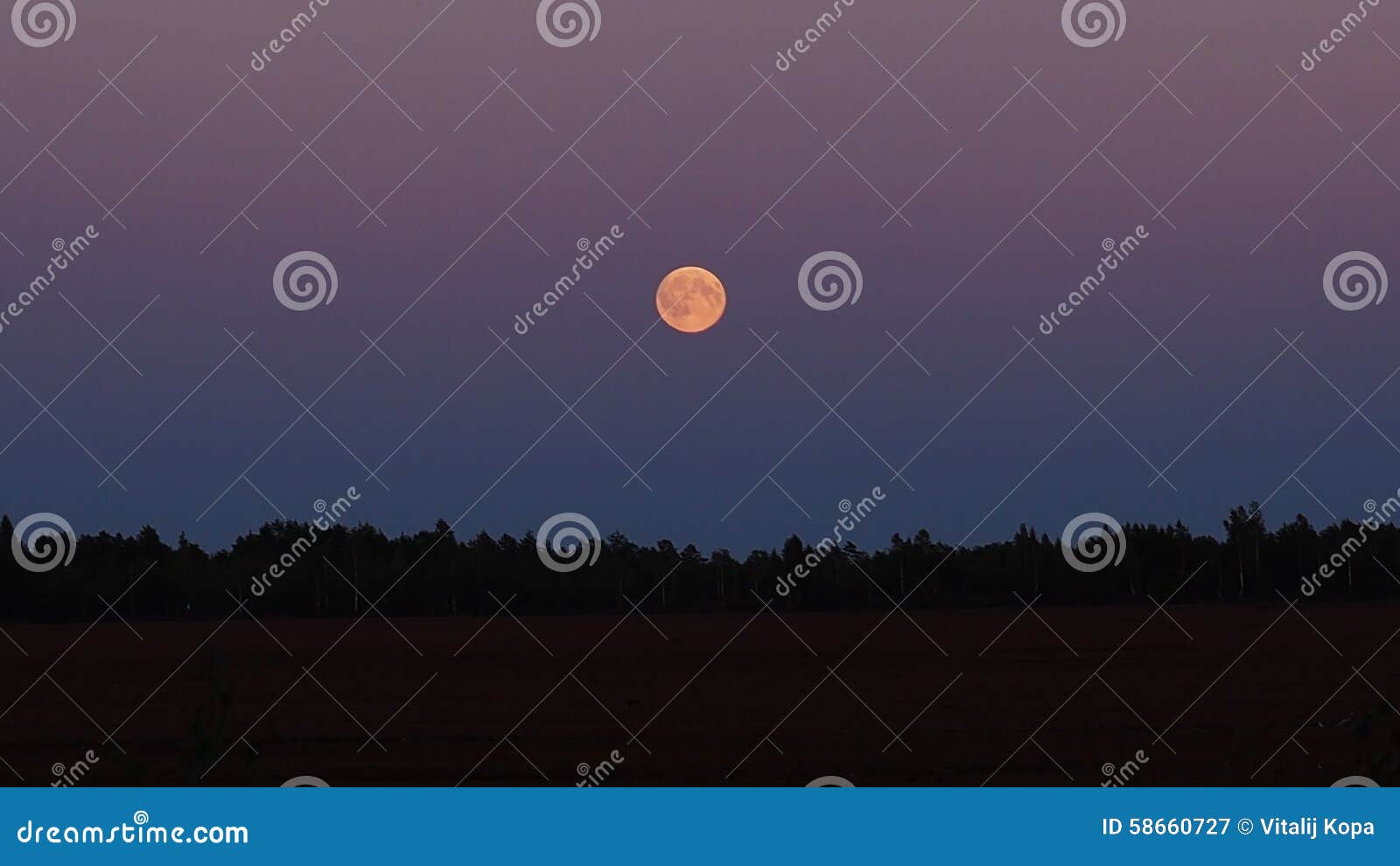 Moon rise over forest stock image. Image of moon, night - 58660727