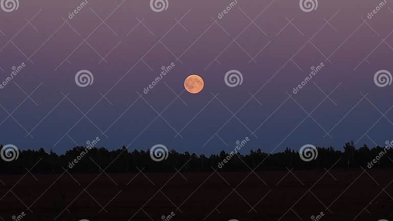 Moon rise over forest stock image. Image of moon, night - 58660727
