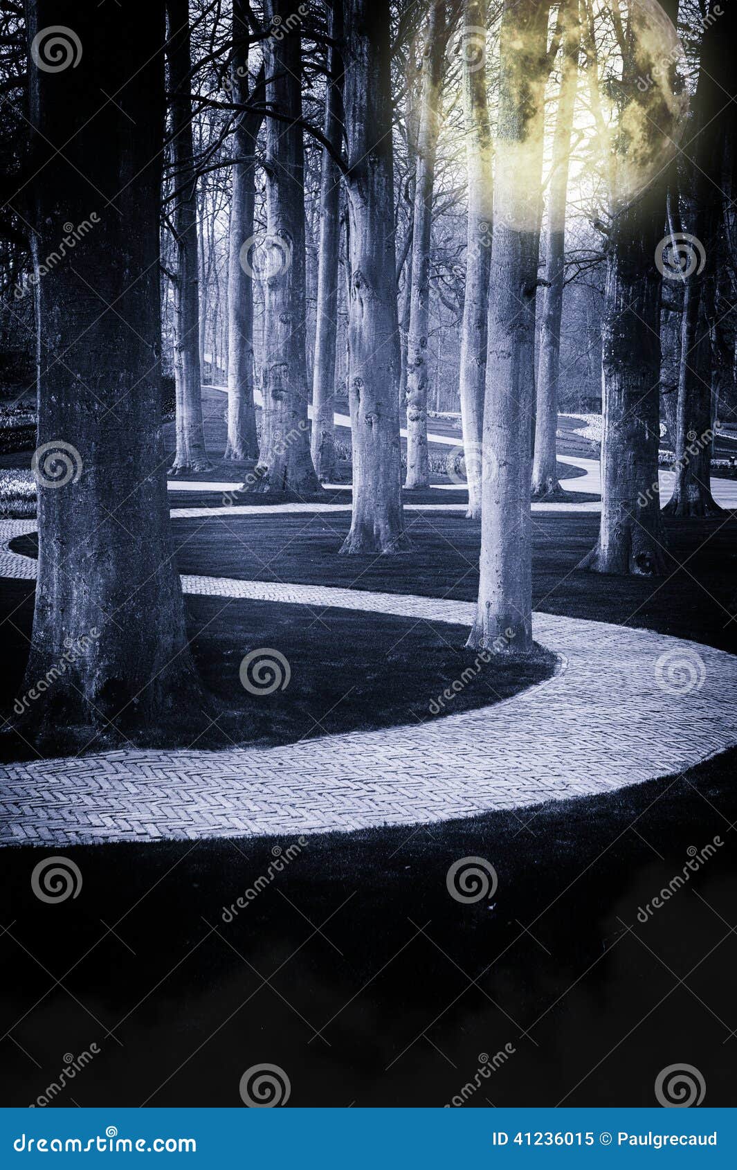 Full moon over night park stock image. Image of darkness - 41236015