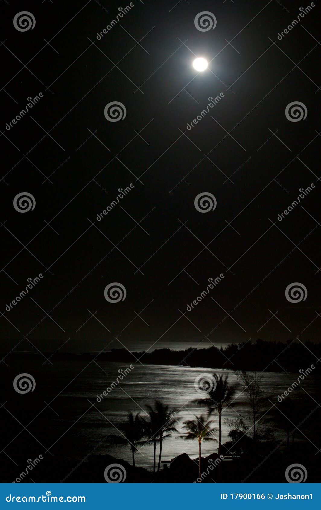 1,570 Beach Moon Night Over Photos - Free & Royalty-Free Stock Photos ...