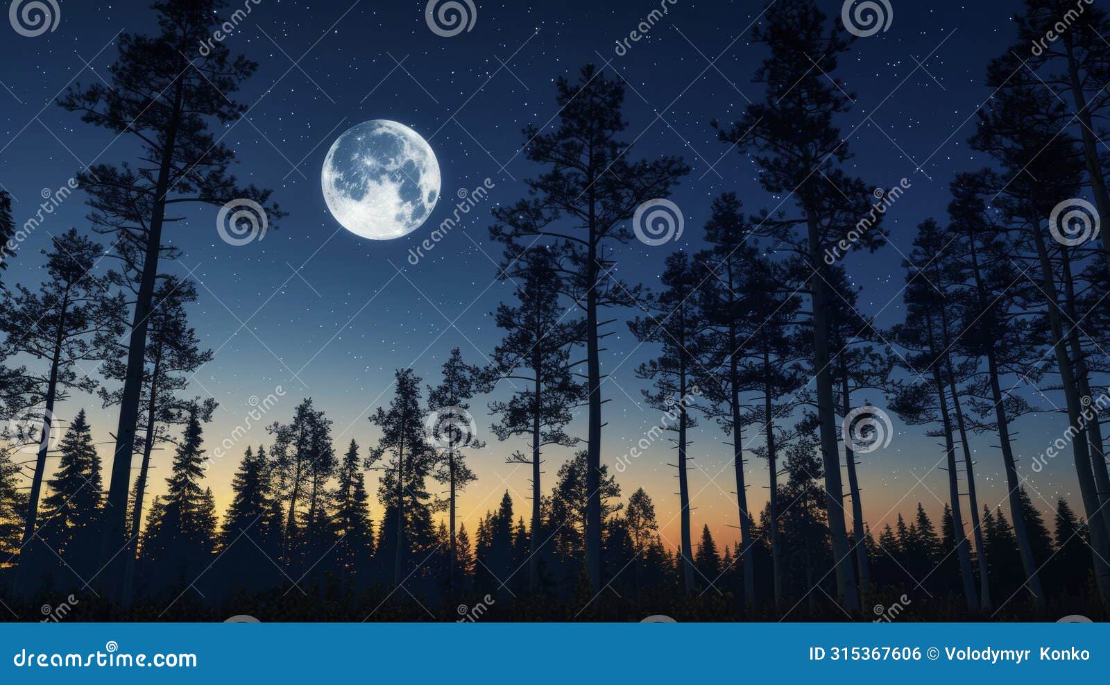 Full Moon Over a Pine Forest at Twilight Stock Photo - Image of ...