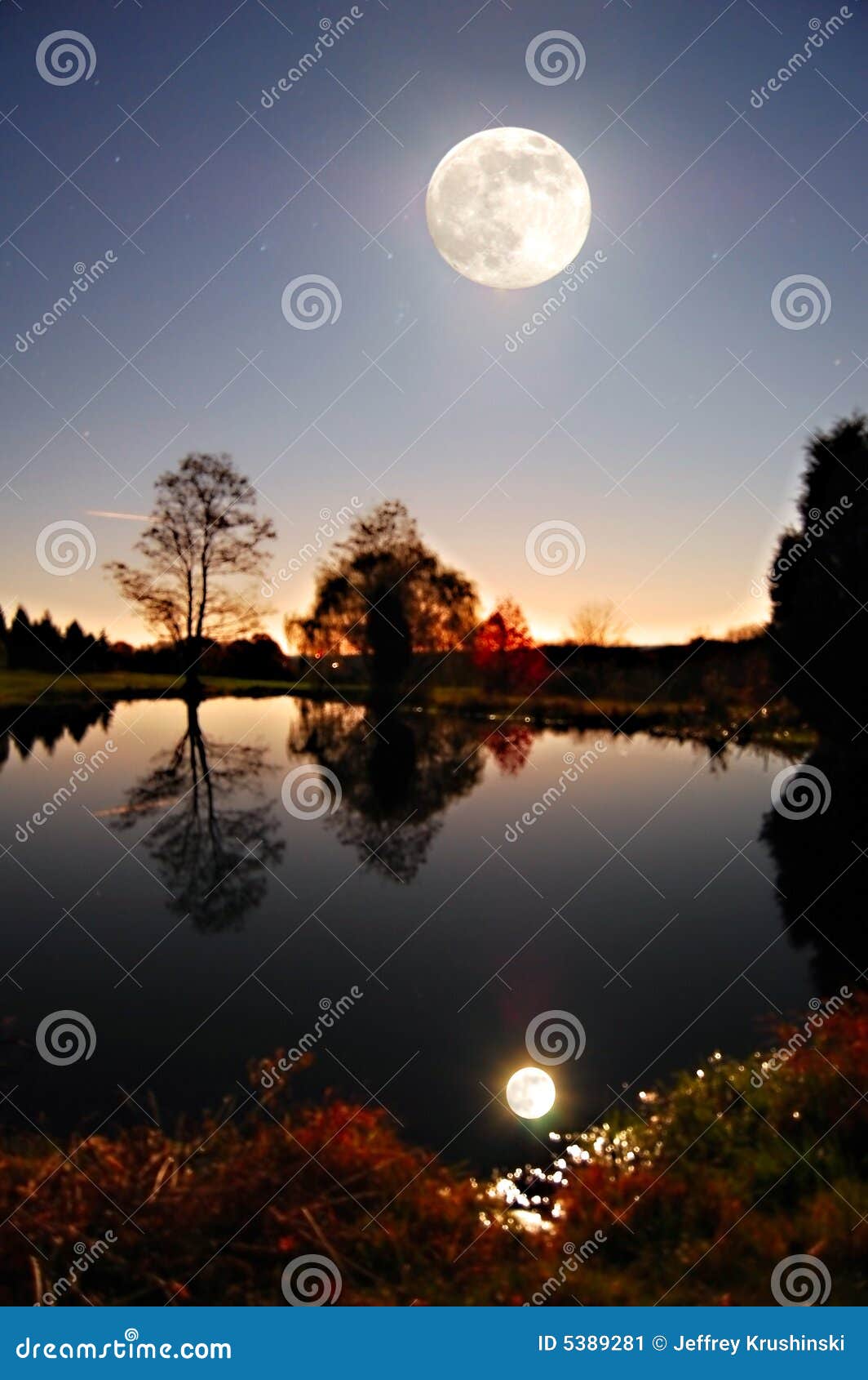 Full moon over pond stock image. Image of moon, glow, landscape - 5389281