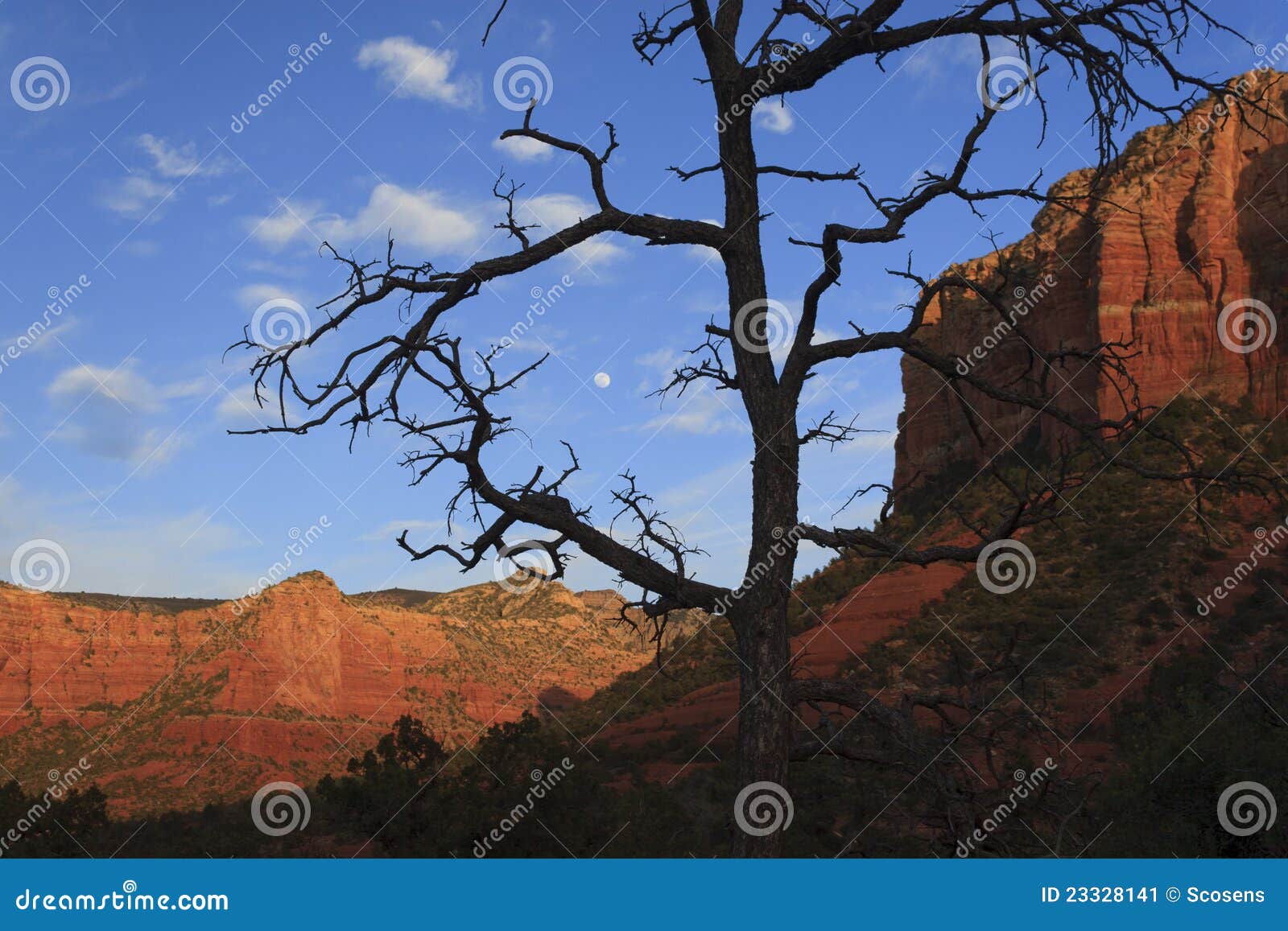 Full moon over red rocks stock image. Image of nature - 23328141