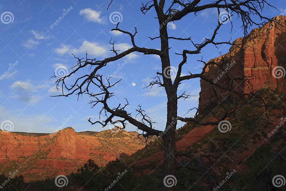 Full moon over red rocks stock image. Image of nature - 23328141