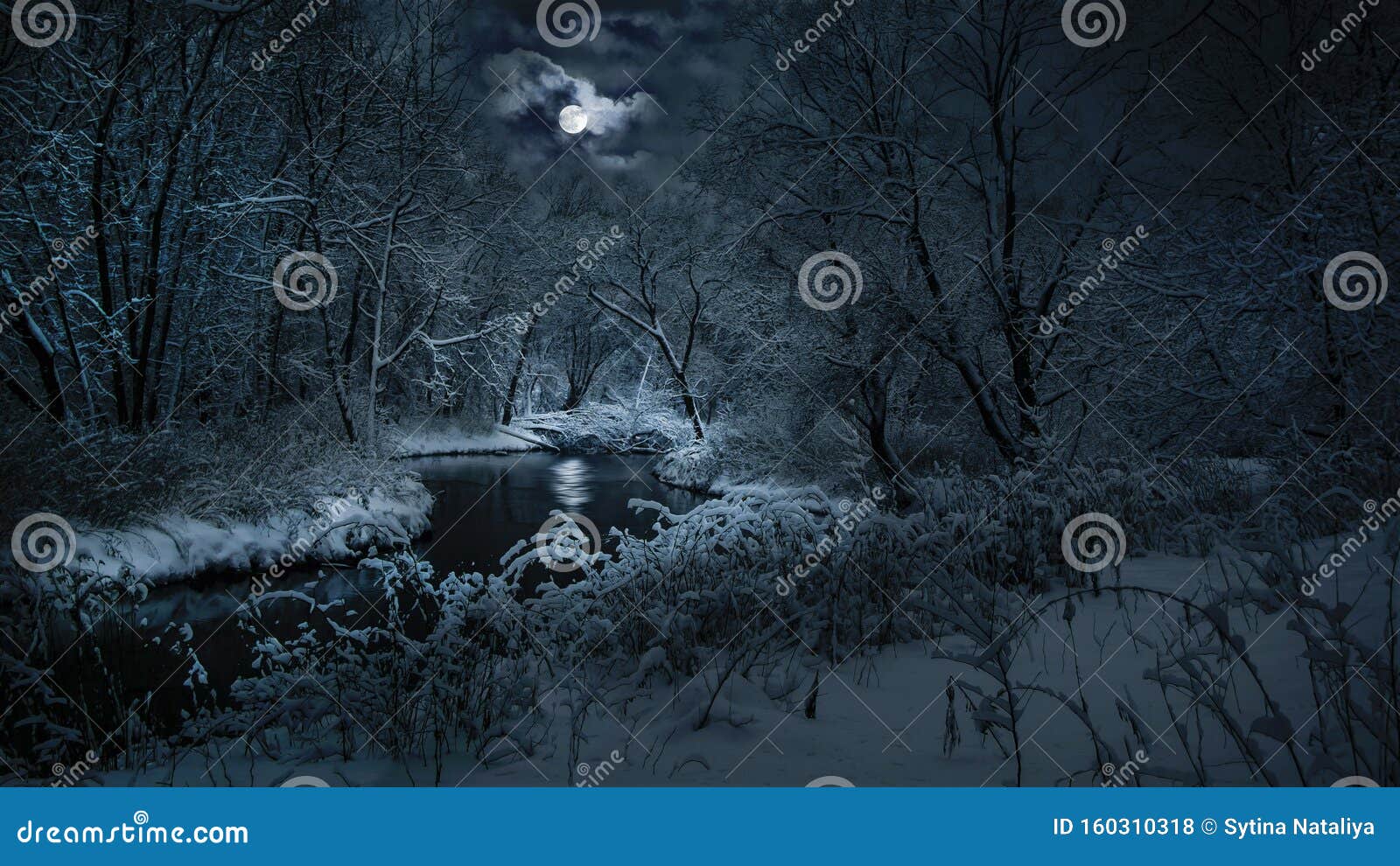 Full Moon Over the River in the Night Winter Forest Stock Photo - Image ...
