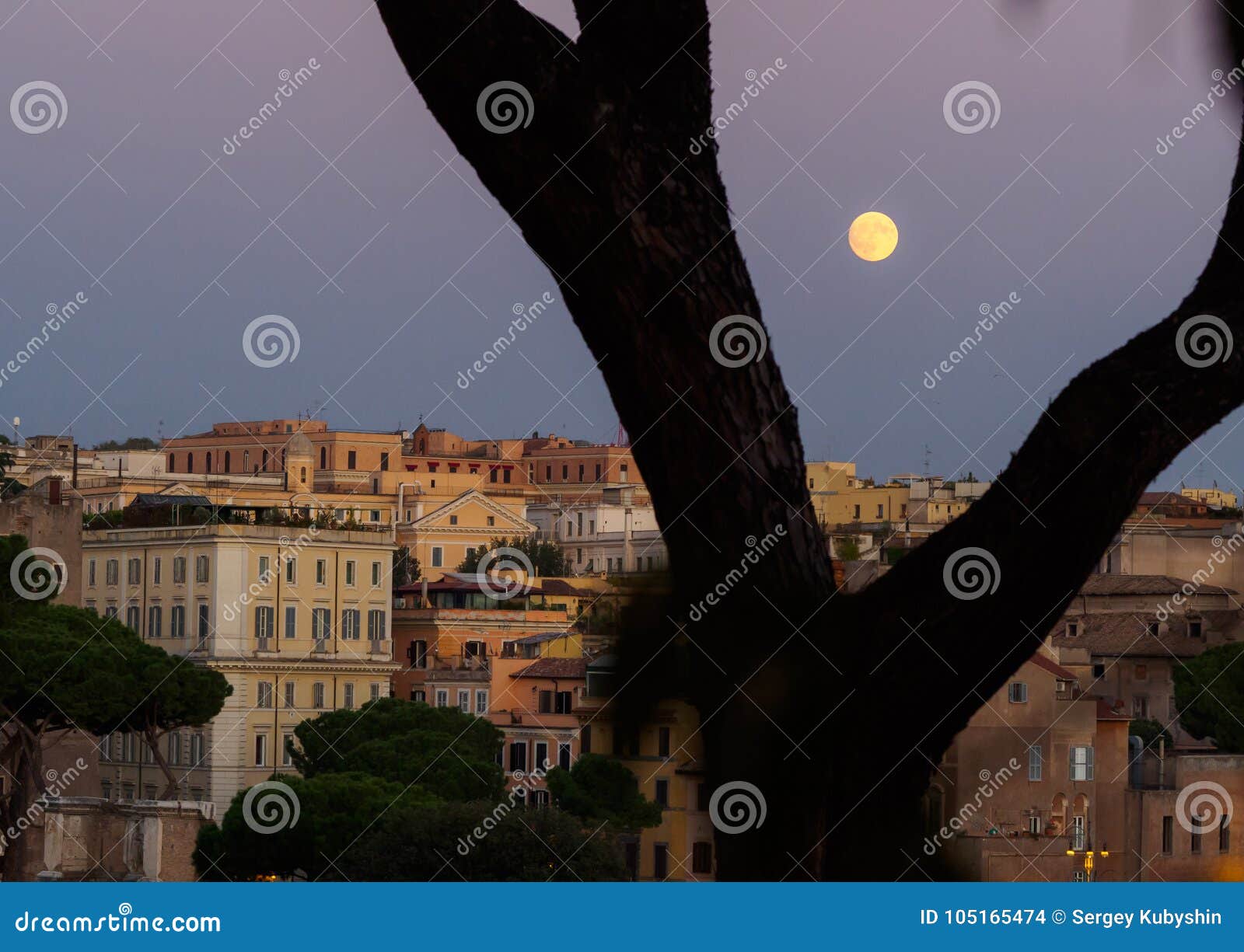 130 Over Roofs Moon Stock Photos - Free & Royalty-Free Stock Photos ...