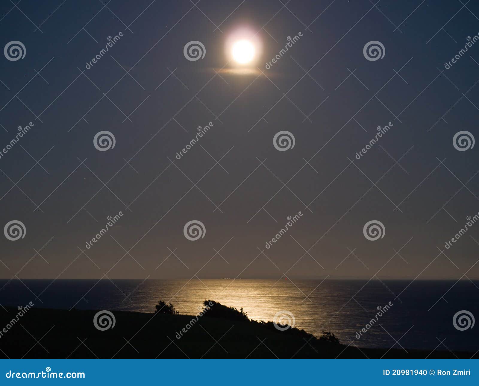 Full Moon Over The Sea Picture. Image: 20981940