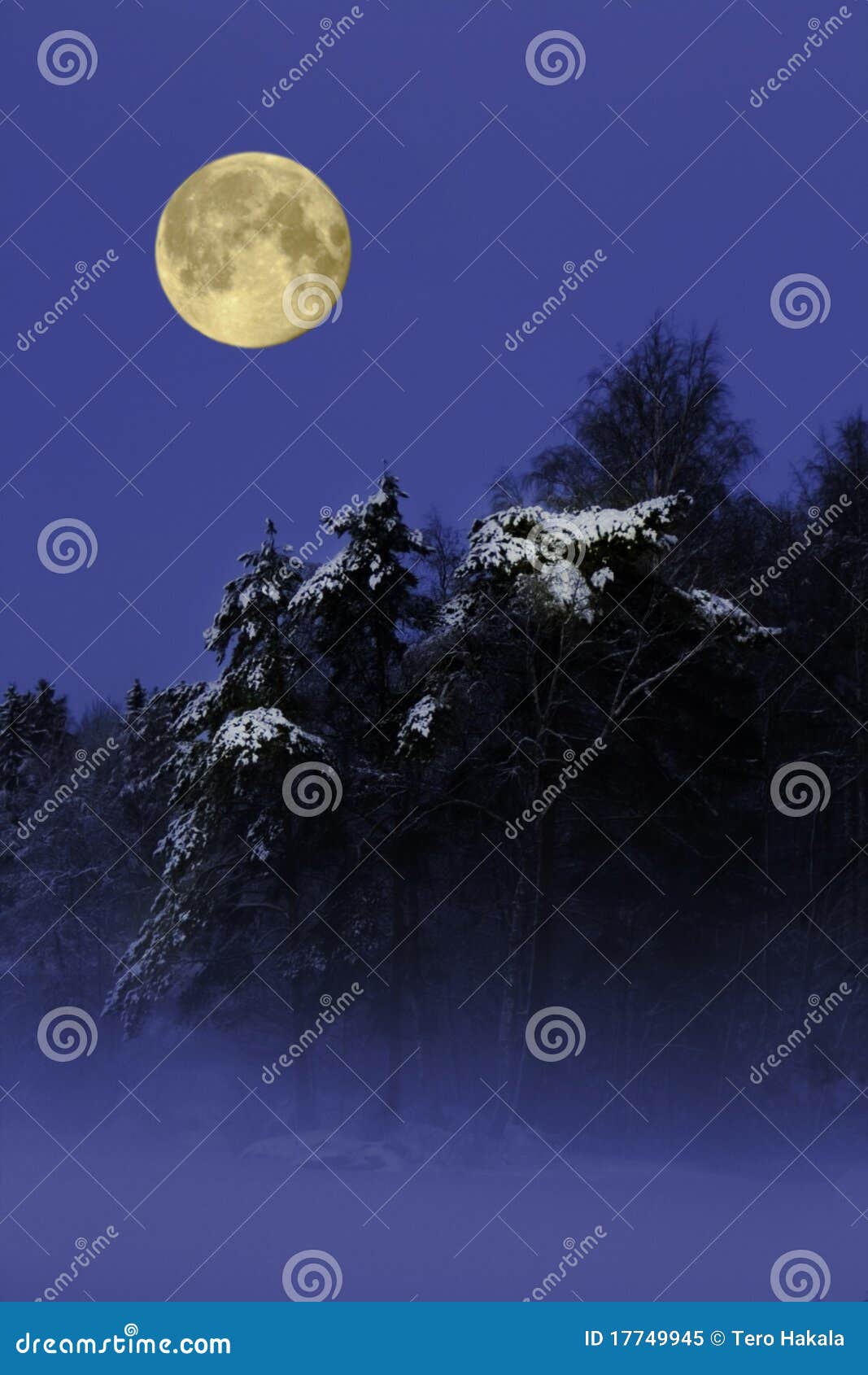 Full moon over snowy trees stock image. Image of tree - 17749945