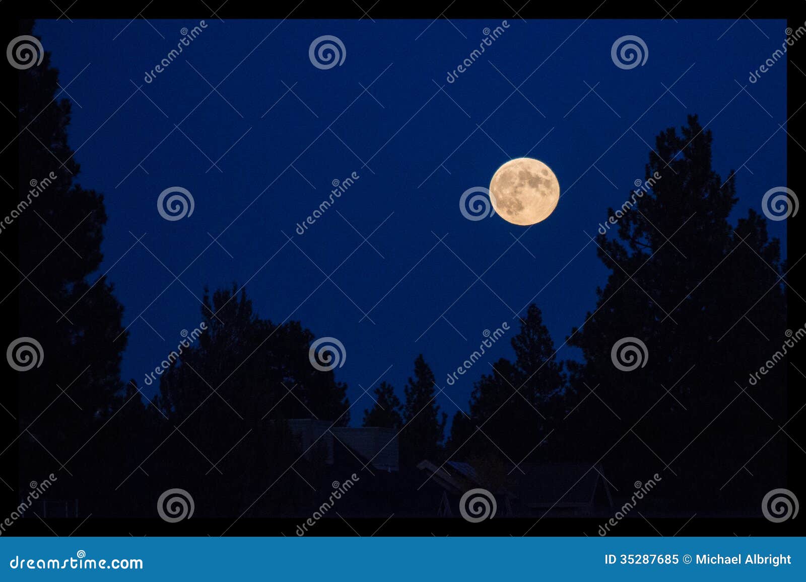Full moon over trees stock image. Image of trees, bright - 35287685