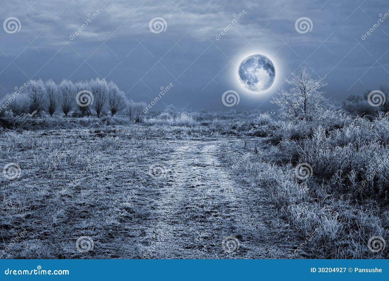Full Moon Over the Trees Covered by Hoarfrost Stock Image - Image of ...