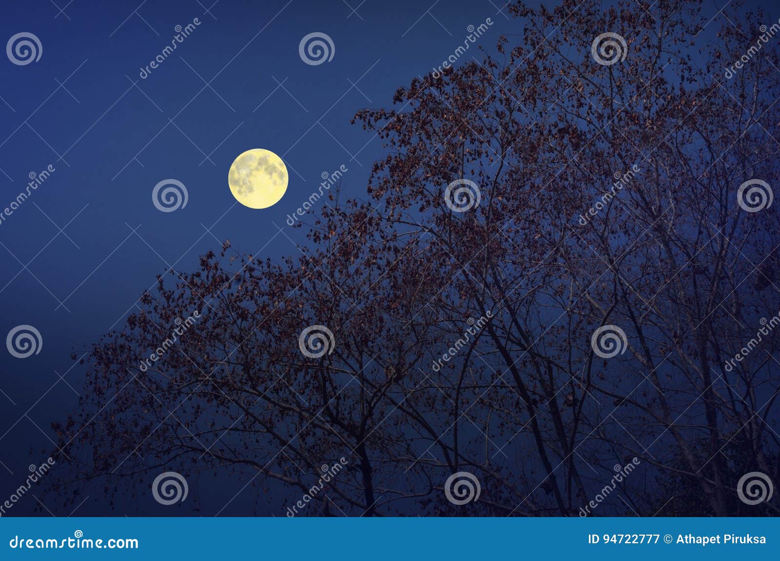 Full Moon Over the Trees in Fall Season Stock Image - Image of ...