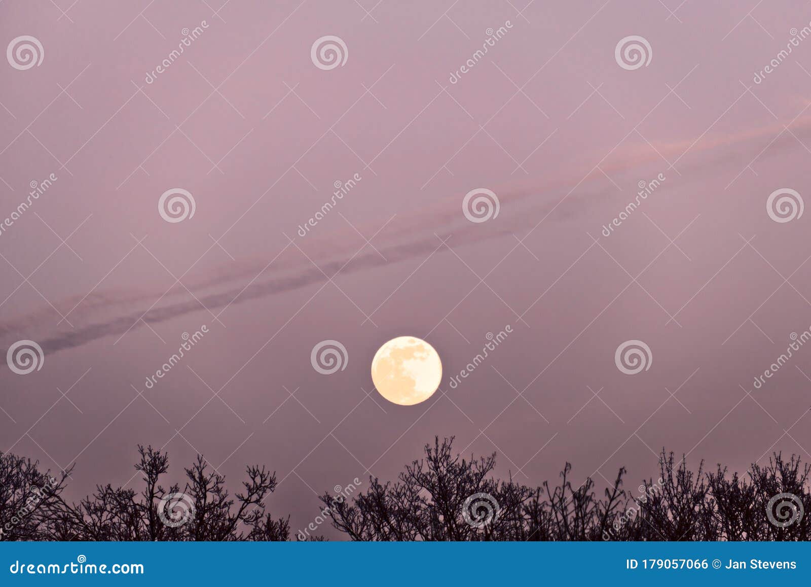 Full Moon Over Trees with Purple Sky Stock Photo - Image of australia ...