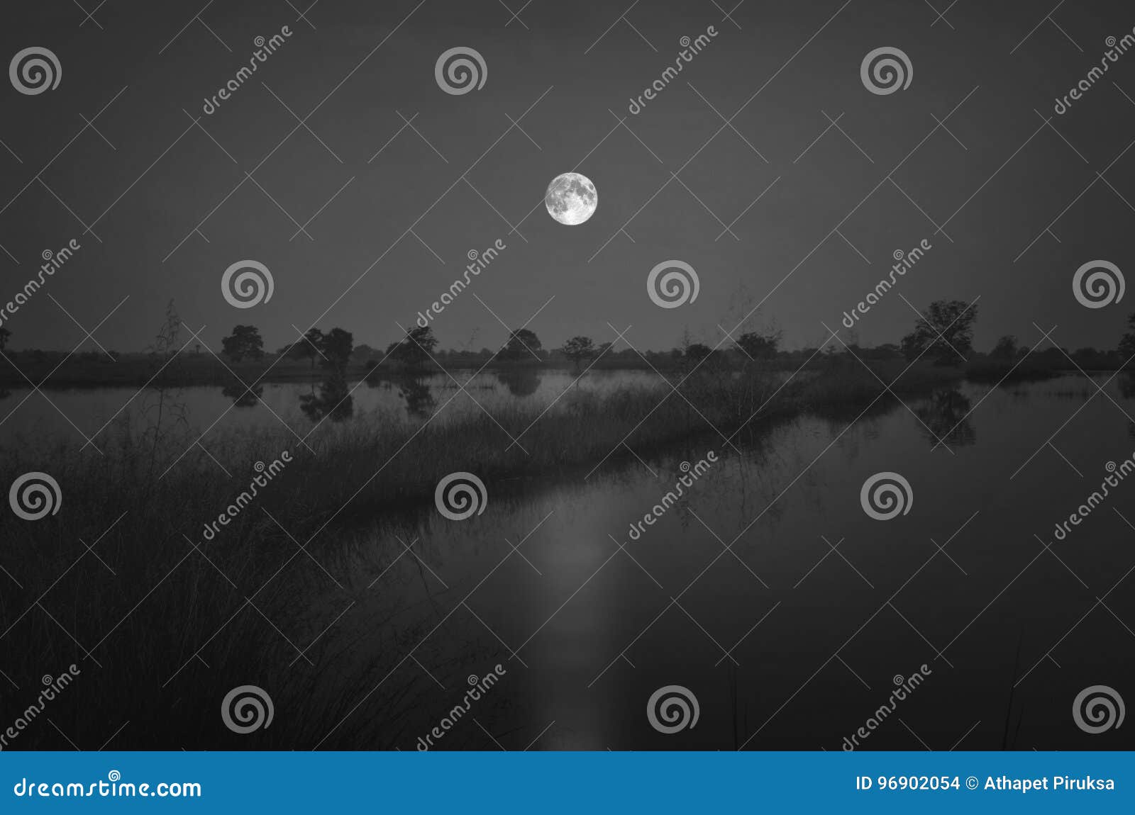 2,089 Full Moon Over Water Photos - Free & Royalty-Free Stock Photos ...