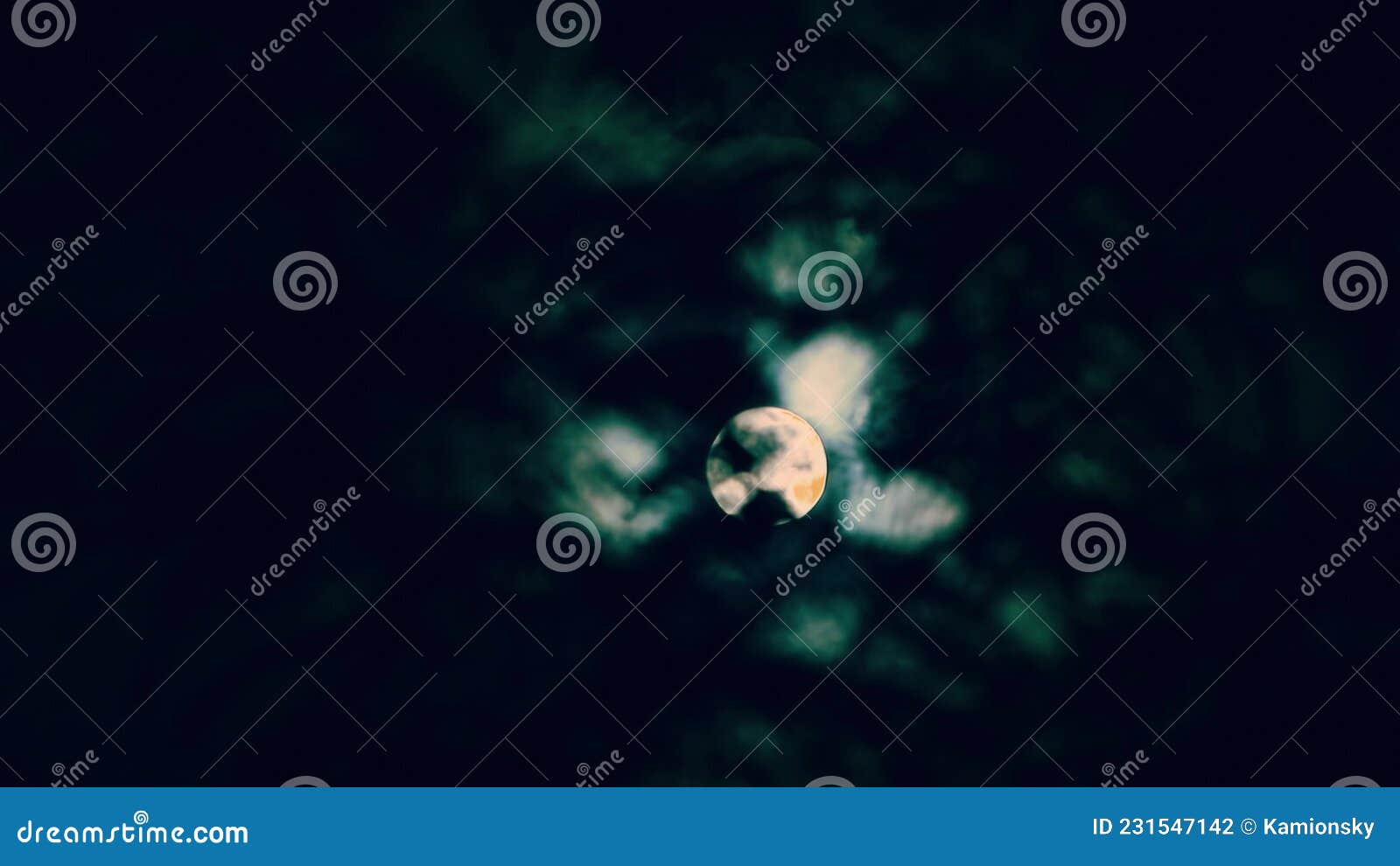 The Full Moon Peeps through the Branches of Palm Trees and Exotic Trees ...